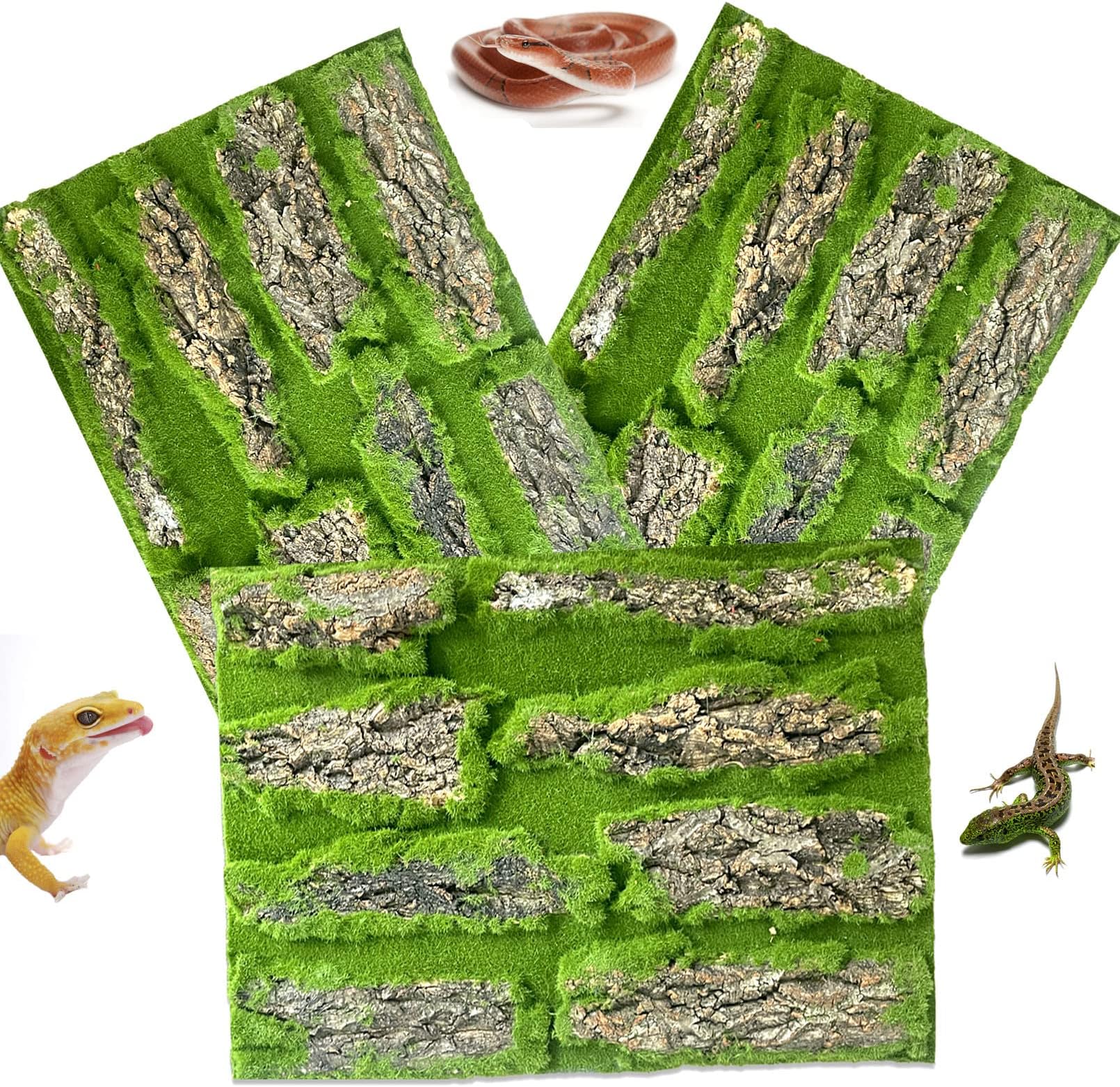 Amazon.com : AQUA KT Reptile Moss Background Backdrop Wall Artificial ...