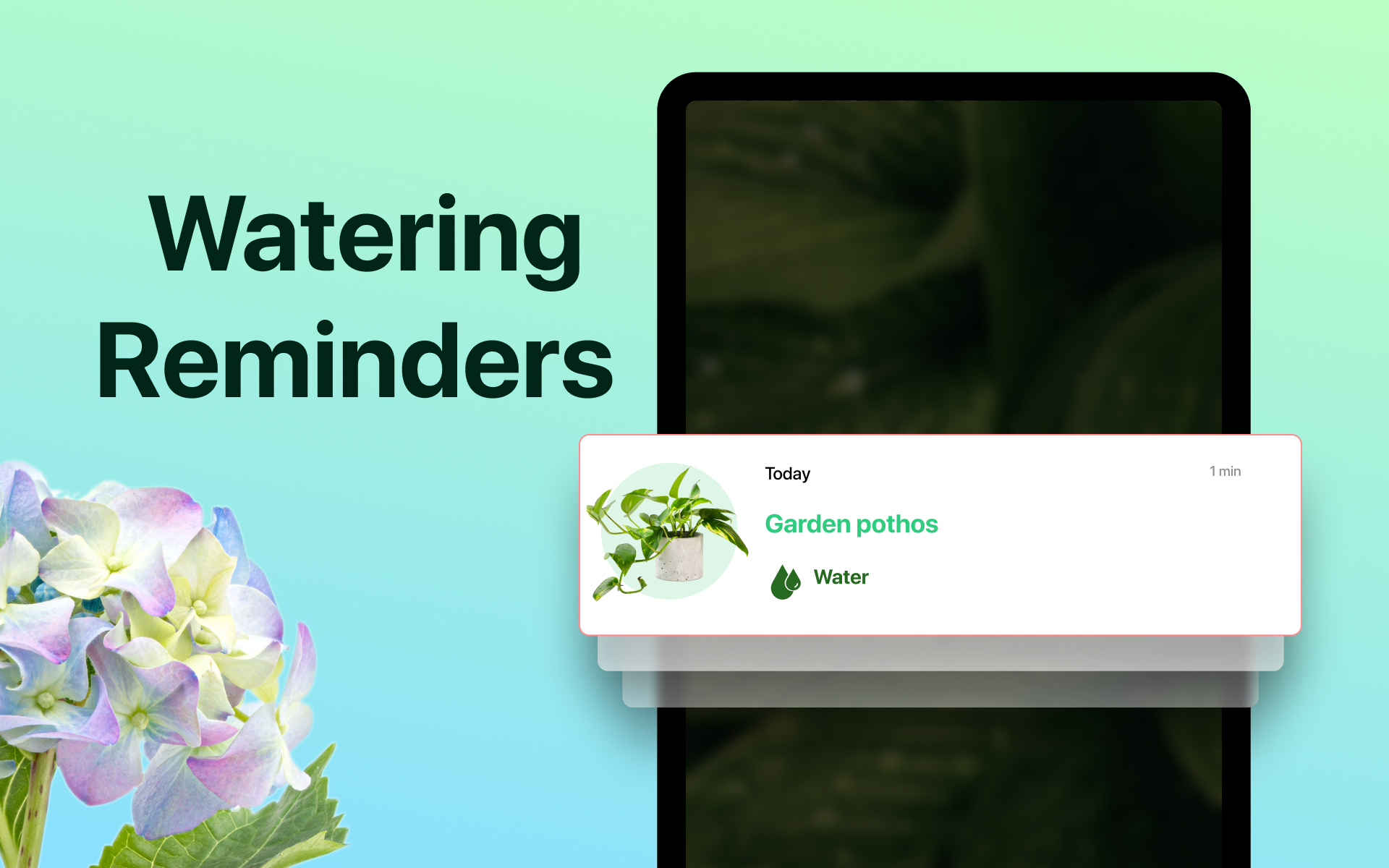 PictureThis - Plant Identifier - App on Amazon Appstore