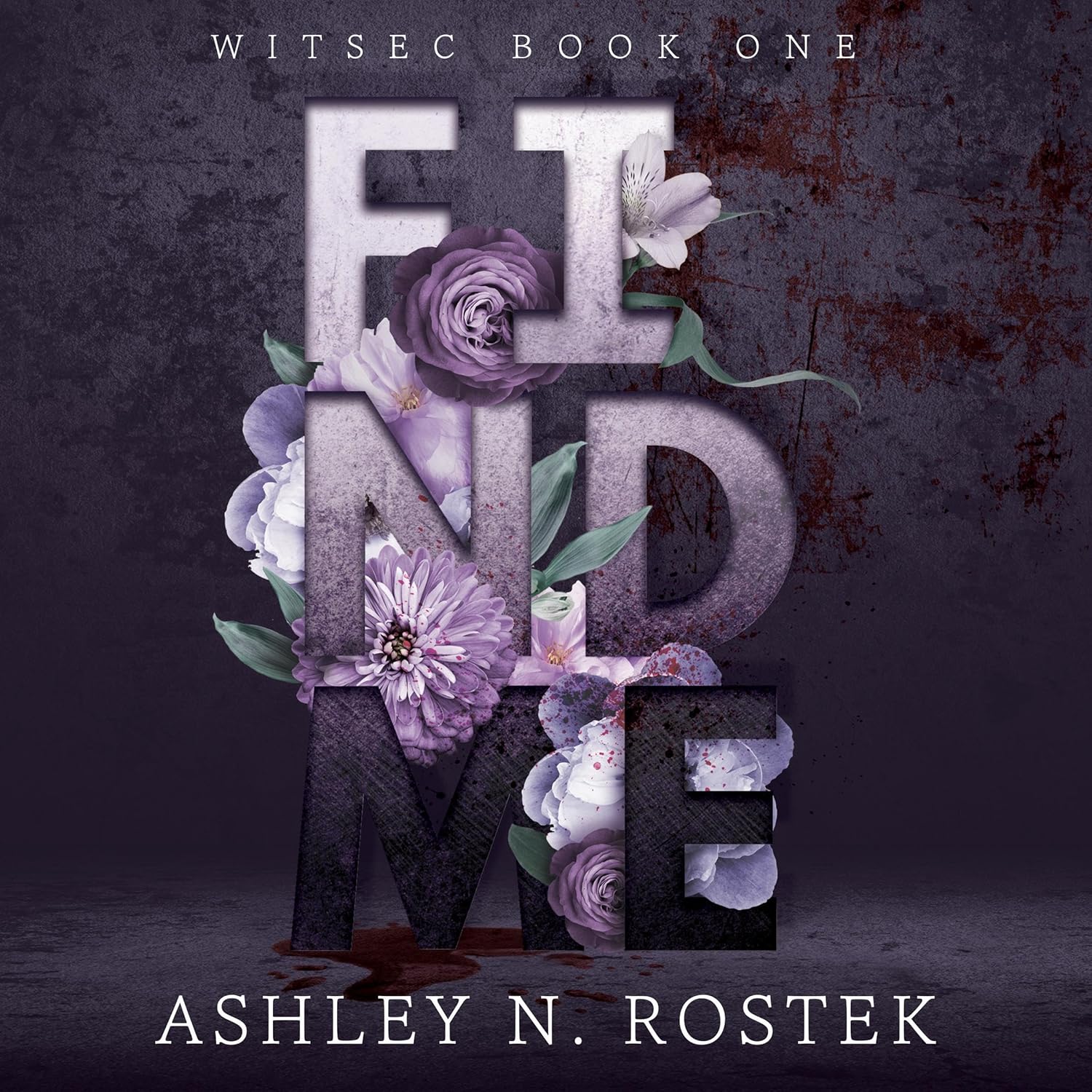 Amazon.com: Find Me: WITSEC, Book 1 (Audible Audio Edition): Ashley N ...