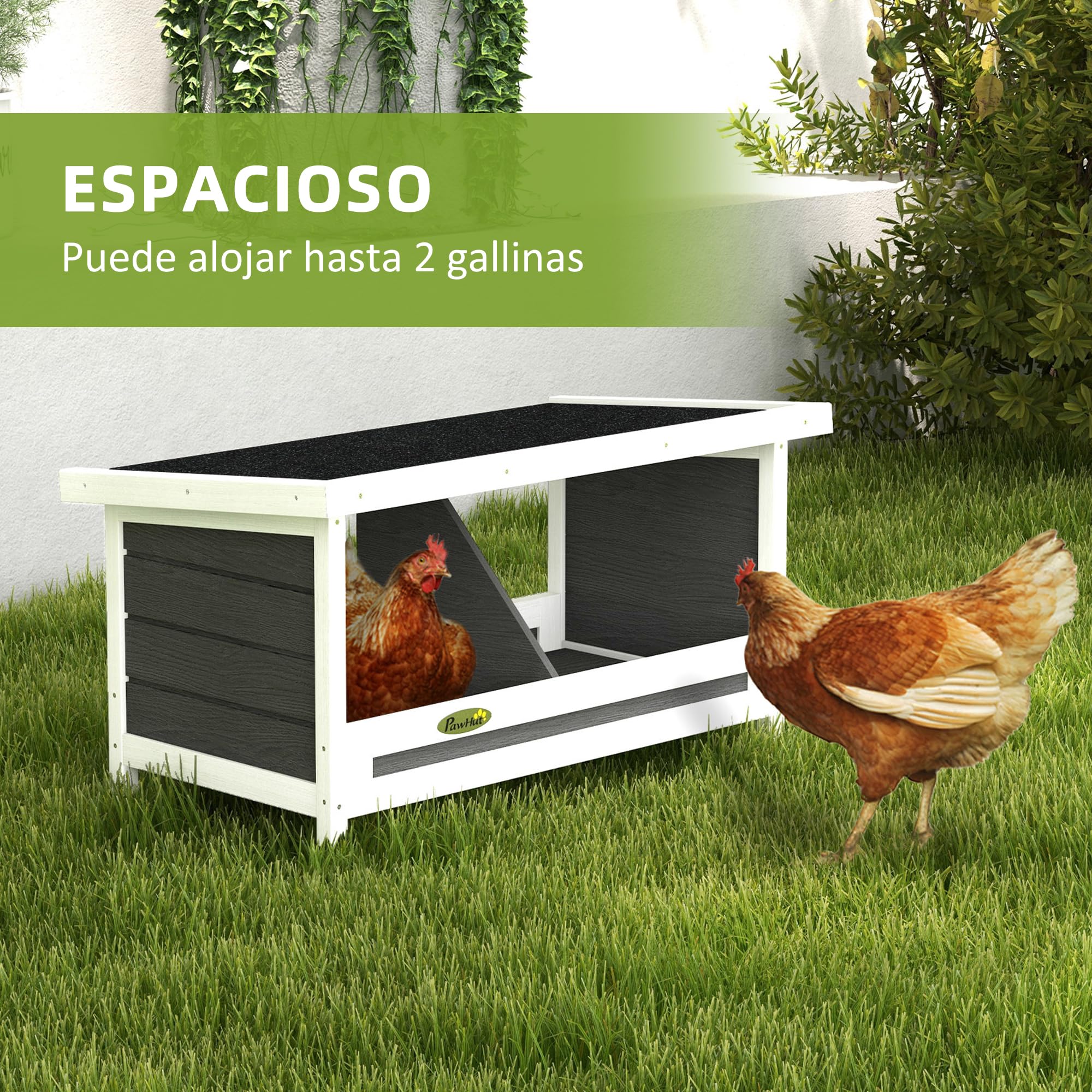 Jardinería Intensiva Con Gallinas Para Ahorrar Espacio