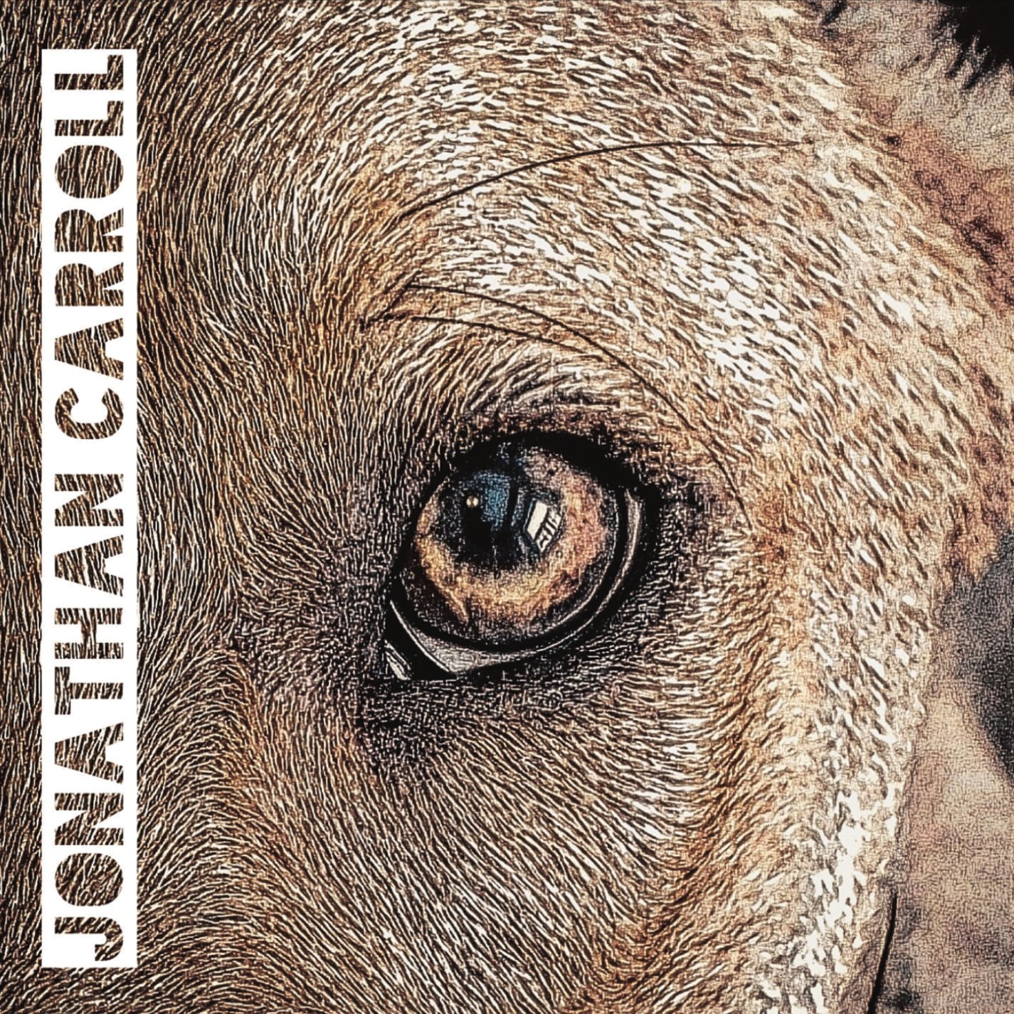 Jonathan Carroll: Carroll, Jonathan: Amazon.in: Music}
