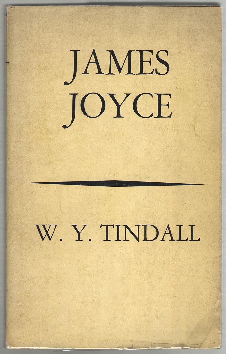 Amazon.com: James Joyce: His Way of Interpreting the Modern World ...