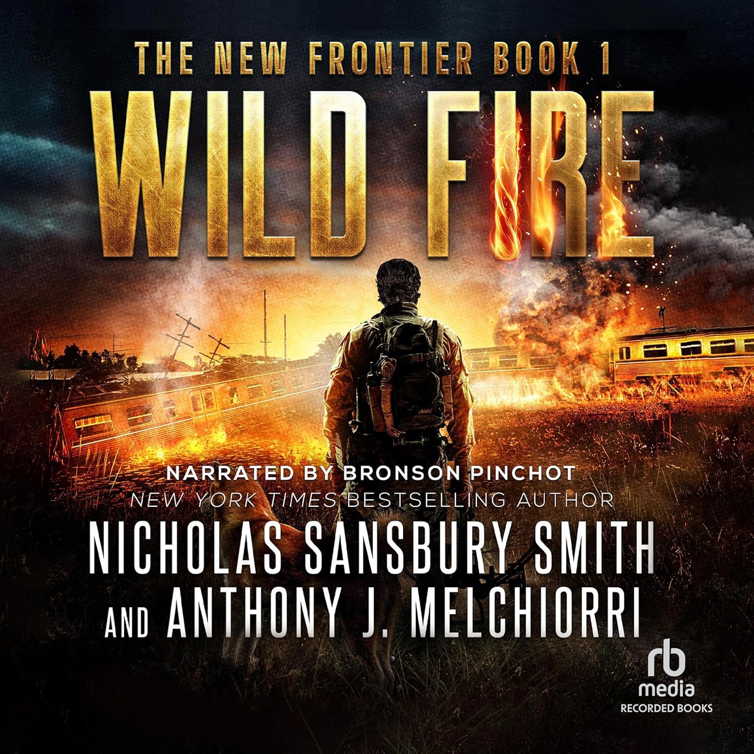 Wild Fire: New Frontier, Book 1 (Audio Download): Nicholas Sansbury ...