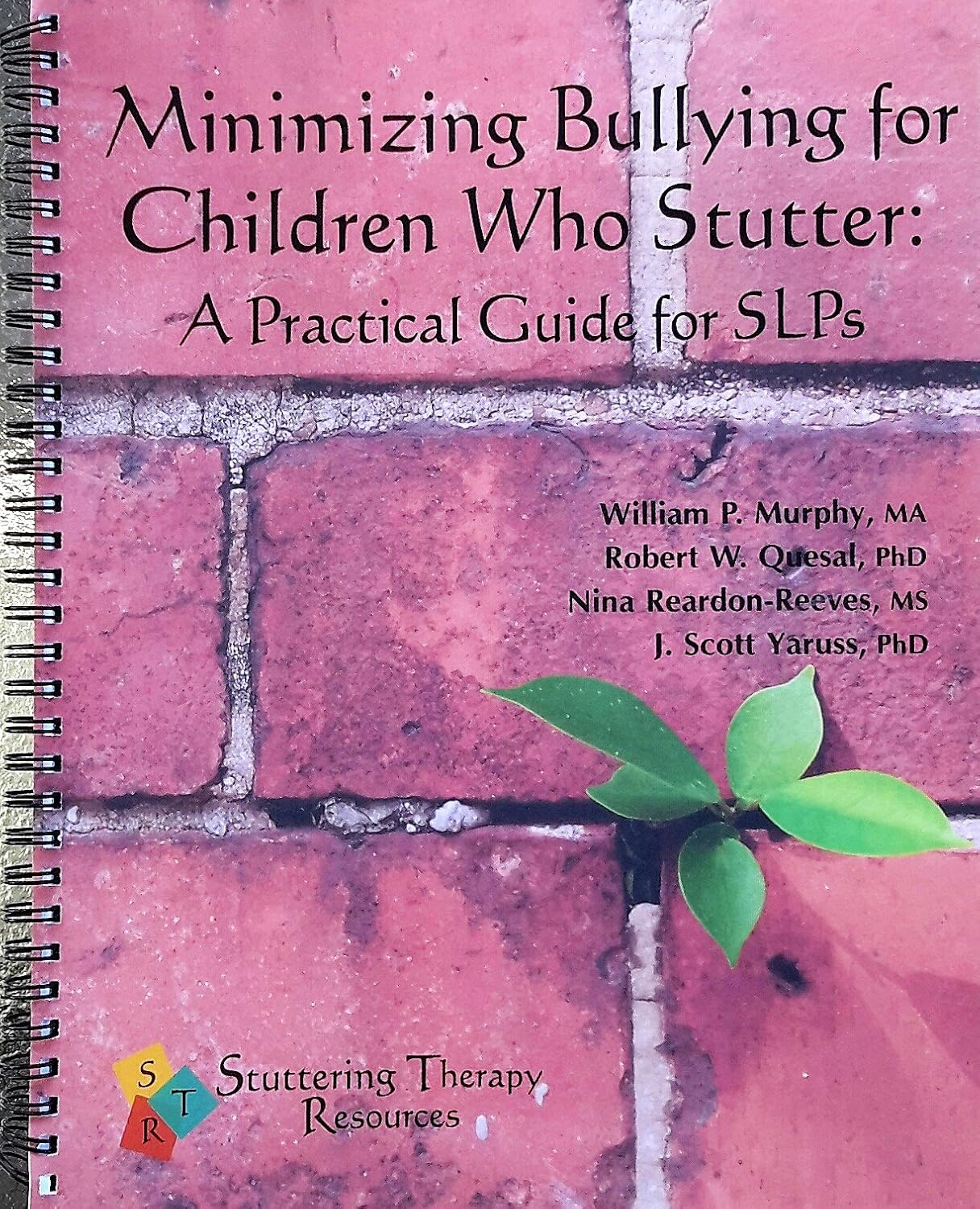 Minimizing Bullying for Children Who Stutter: A Practical Guide for ...