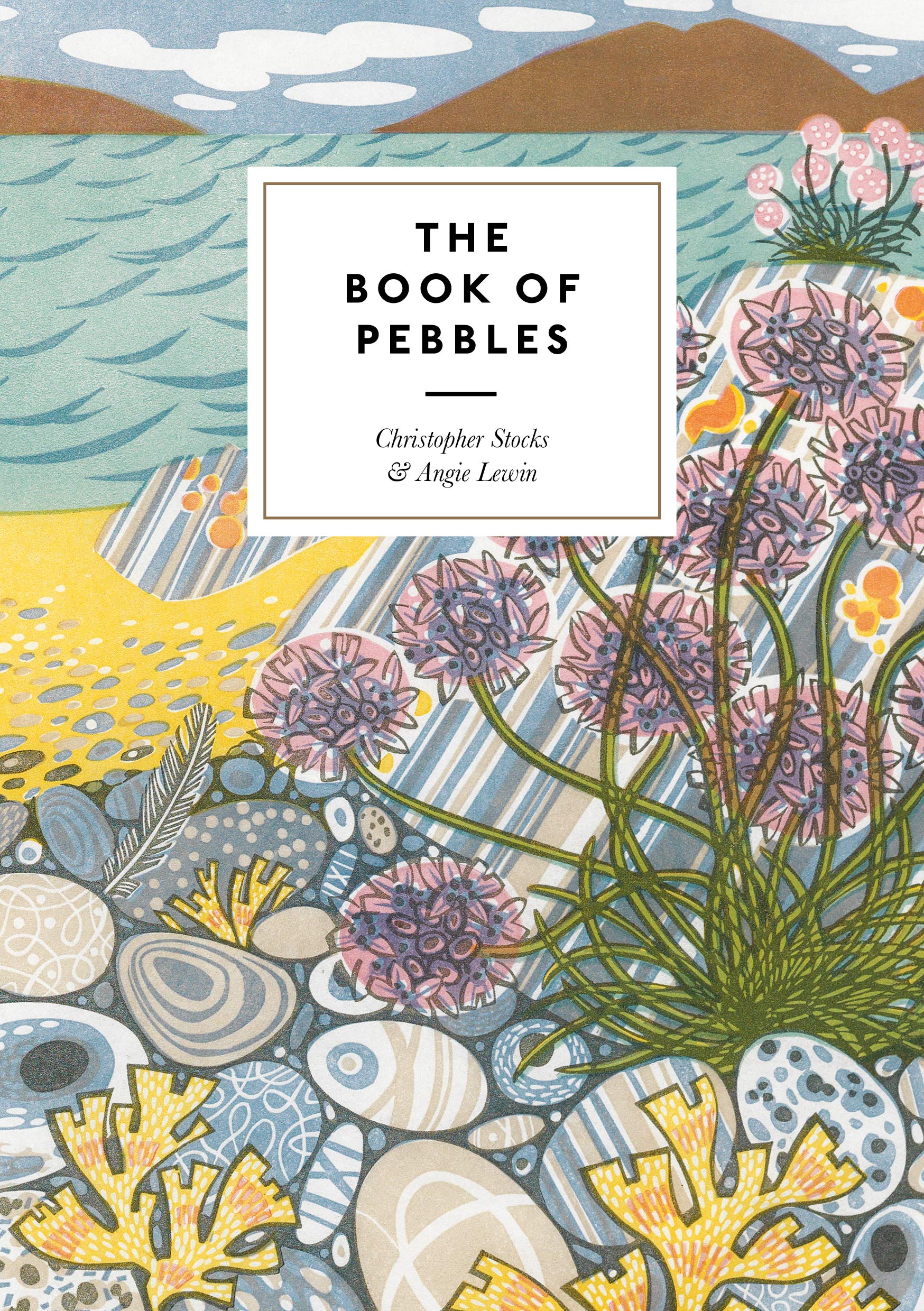 The Book of Pebbles: From Prehistory to the Pet Shop Boys: Amazon.co.uk ...