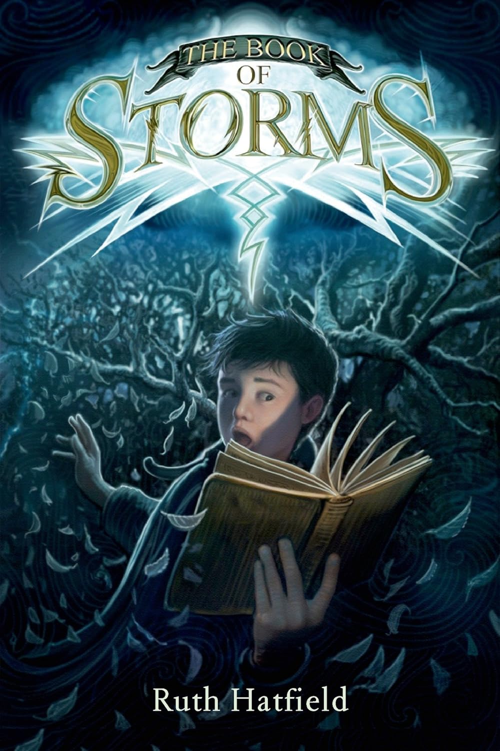 The Book of Storms (The Book of Storms Trilogy): Hatfield, Ruth, Call ...