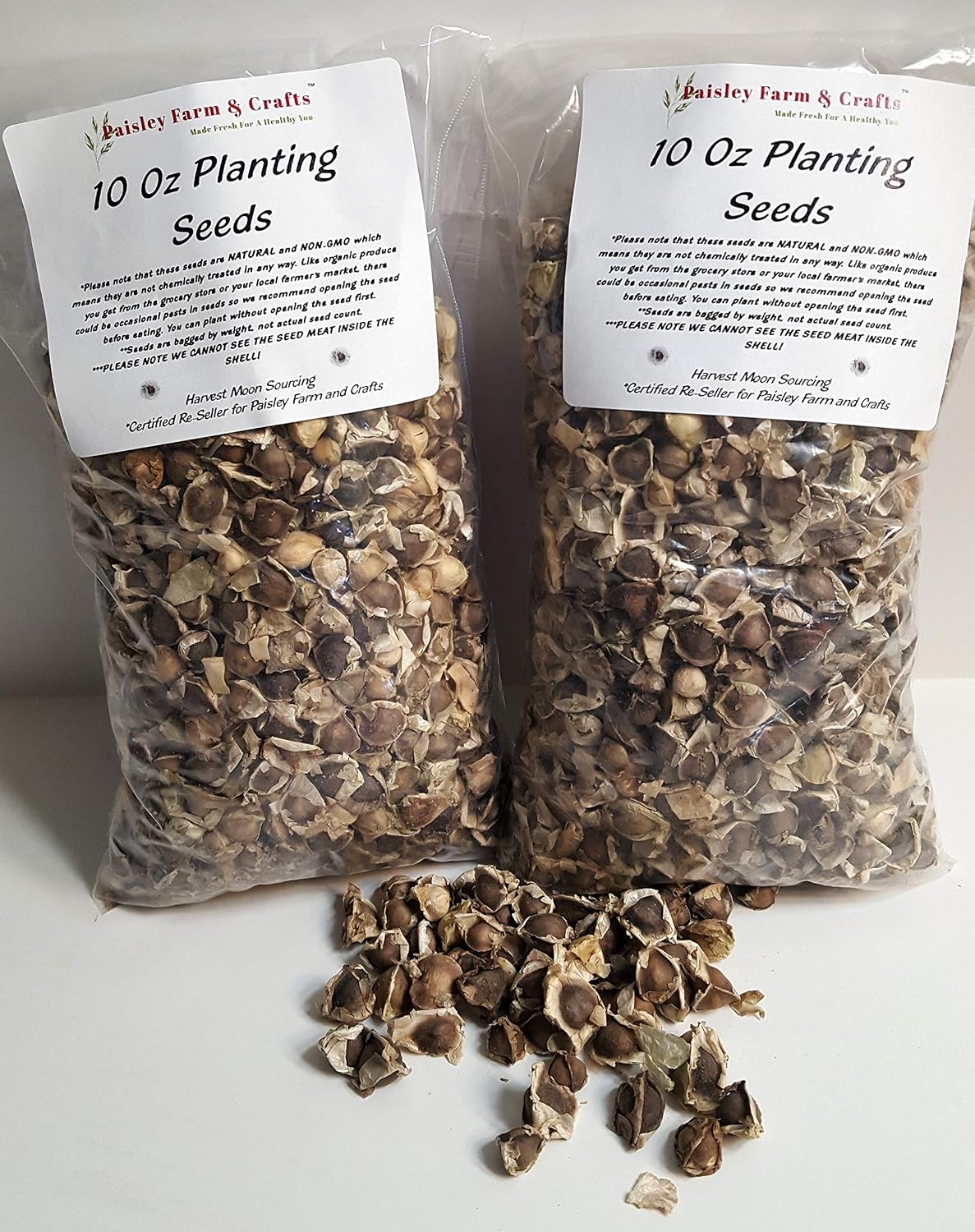 Amazon.com : Moringa Malunggay Seeds - 10 Ounces (900 - 1000) Seeds ...