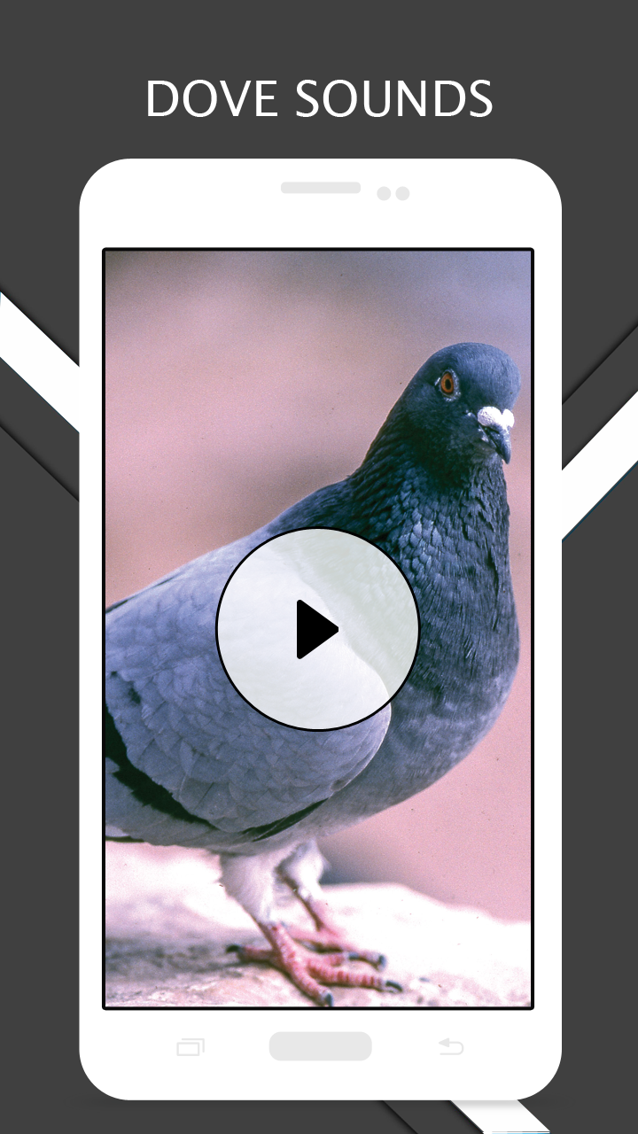 Dove Sounds And Ringtones - App on Amazon Appstore