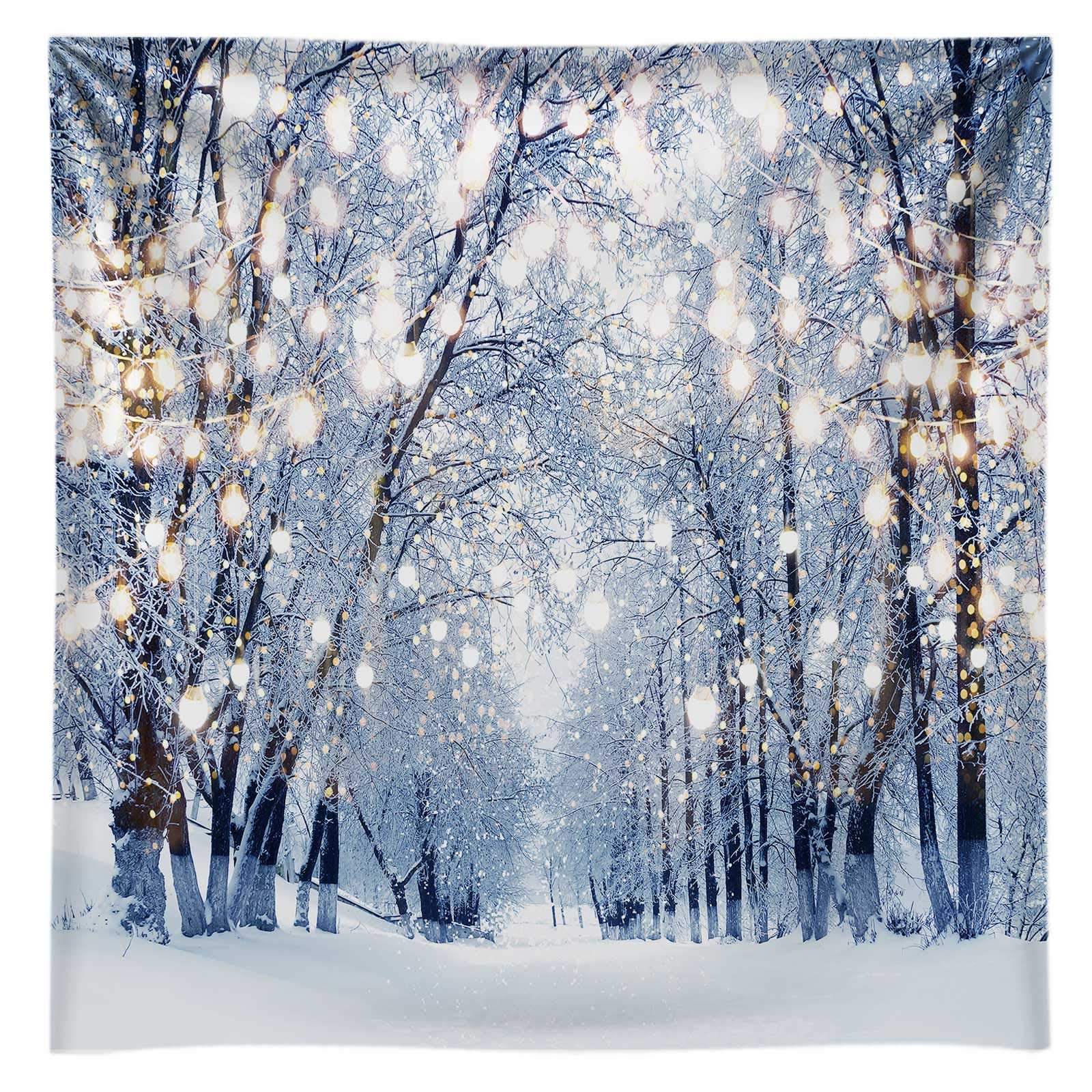 Winter Photography Backdrops