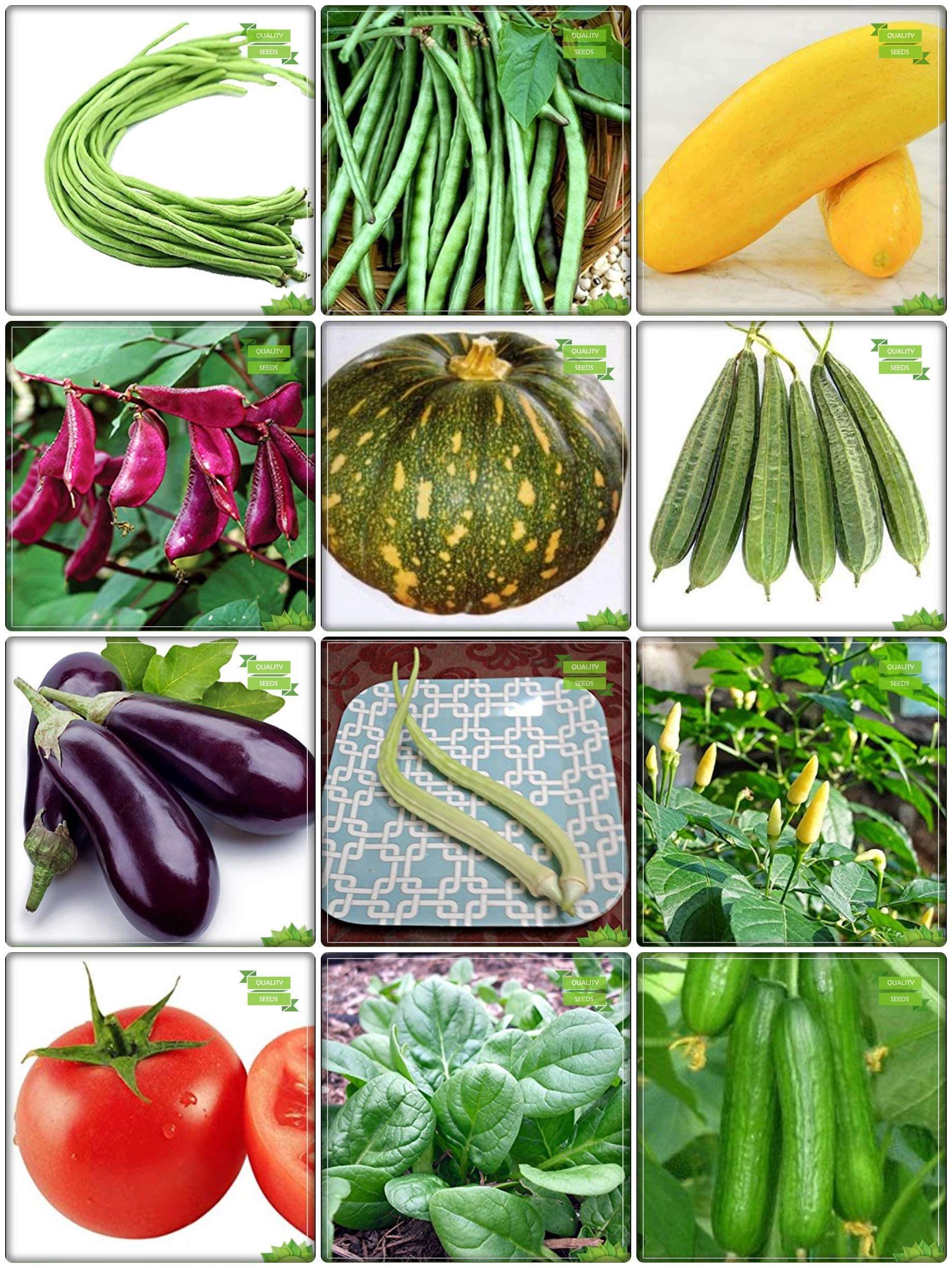 Buy Creative Farmer Combo Vegetable : Cowpea (Vj ), Cowpea (Anaswara ...