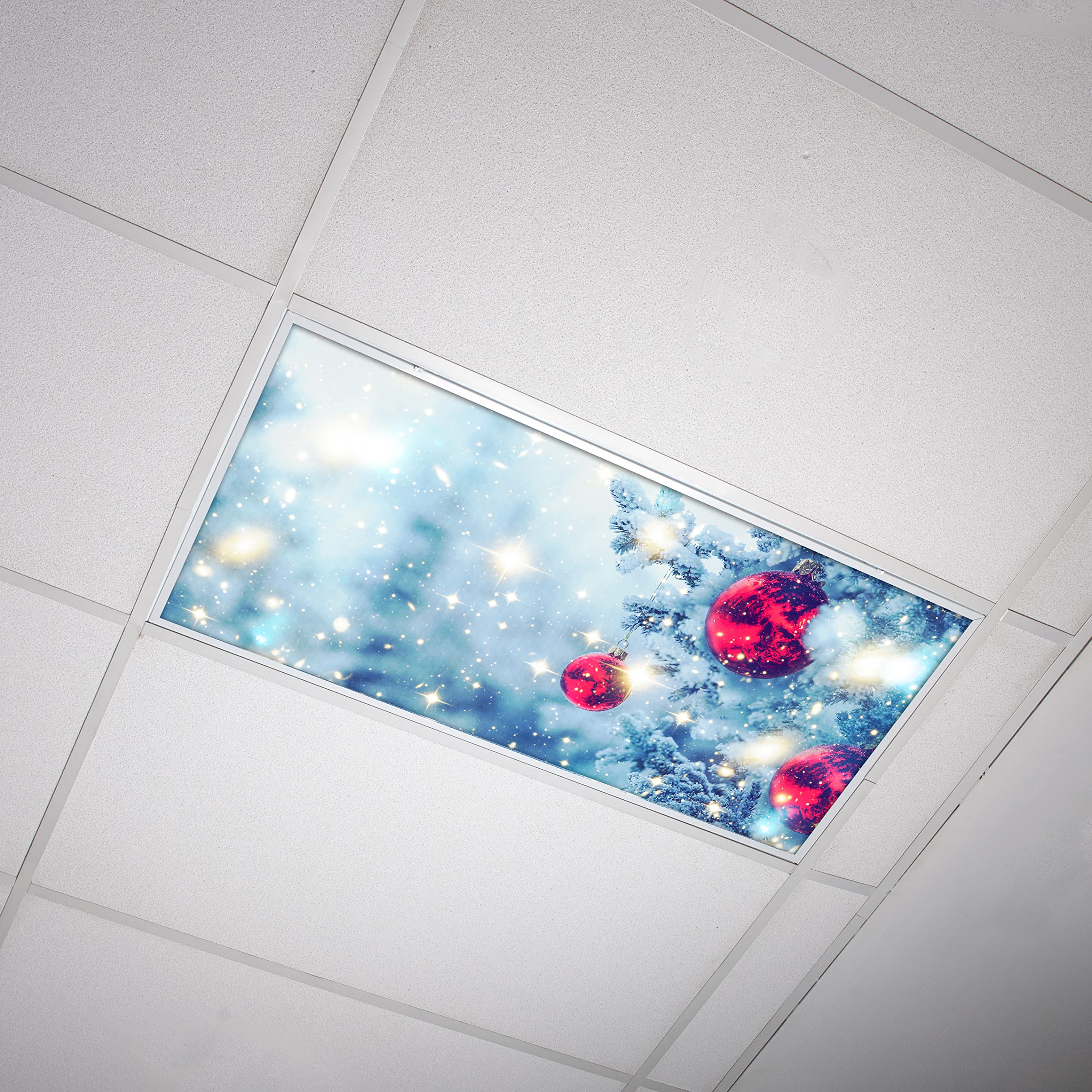 Fluorescent Light Cover for Classroom Ceiling Lights - Premium Backlit ...