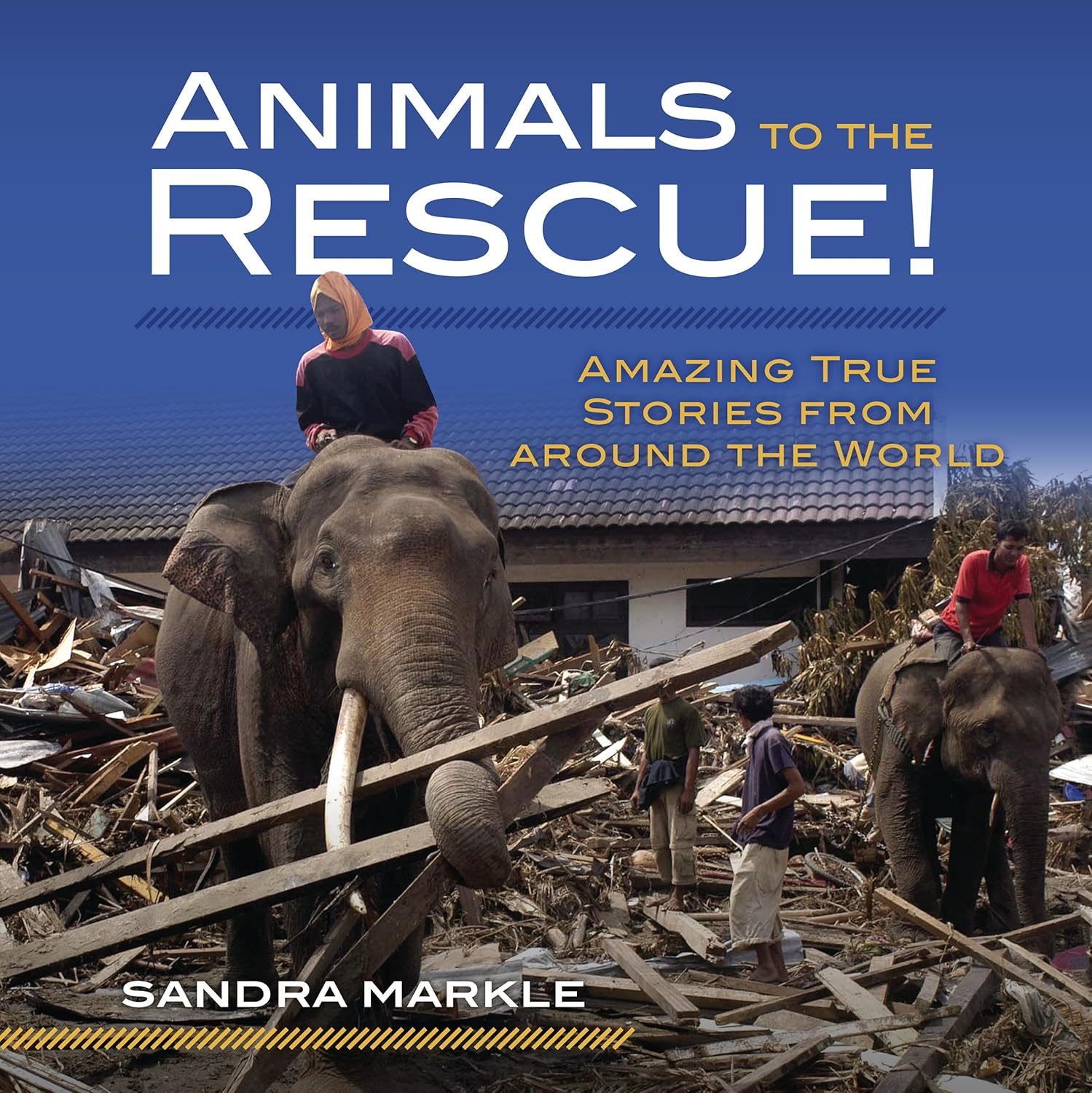 Animals to the Rescue!: Amazing True Stories from around the World ...