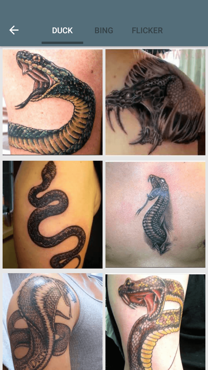 Dna Snake Tattoos Snake Tattoo" Images – Browse 544 Stock Photos,