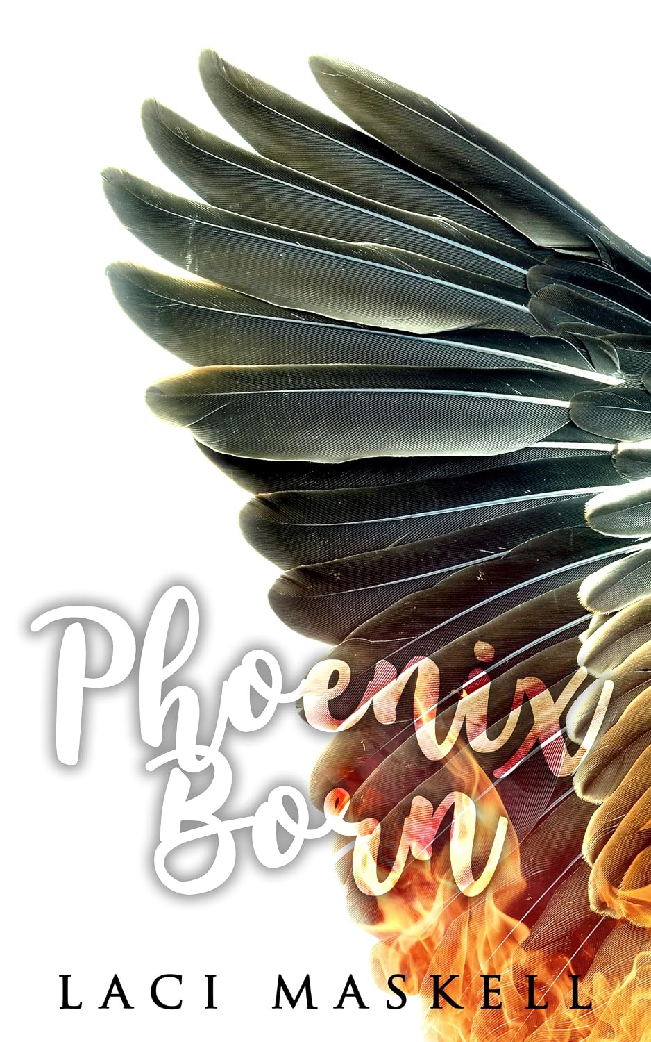 Amazon.com: Phoenix Born (Phoenix Trilogy Book 1) eBook : Maskell, Laci ...
