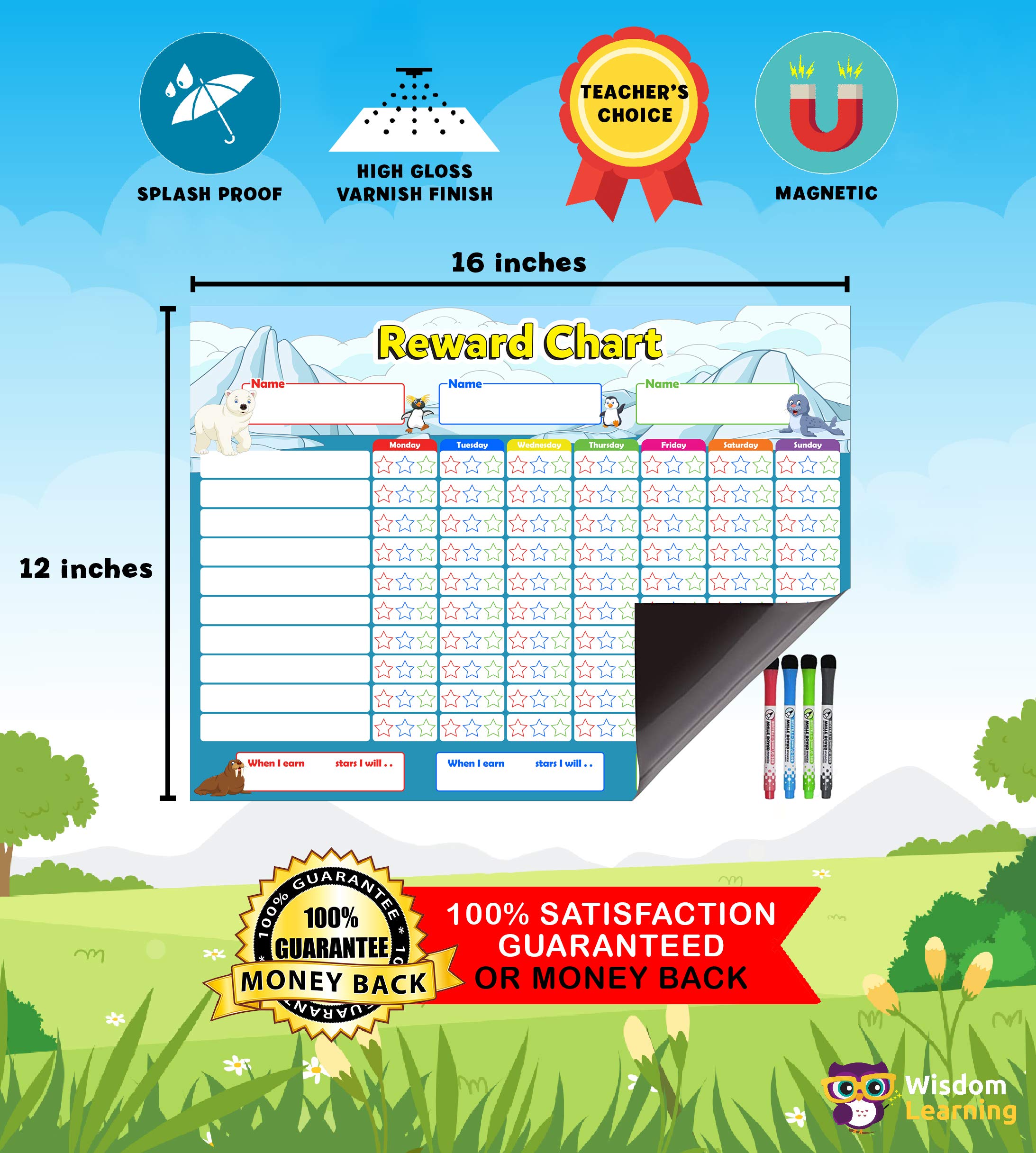 Wisdom Learning Arctic Reward Magnetic Star Chart School Potty ...