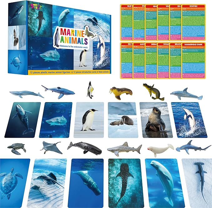 Amazon.com: 12 PCS Plastic Marine Animal Figurines with 12 Introduction Flashcards, Ocean ...