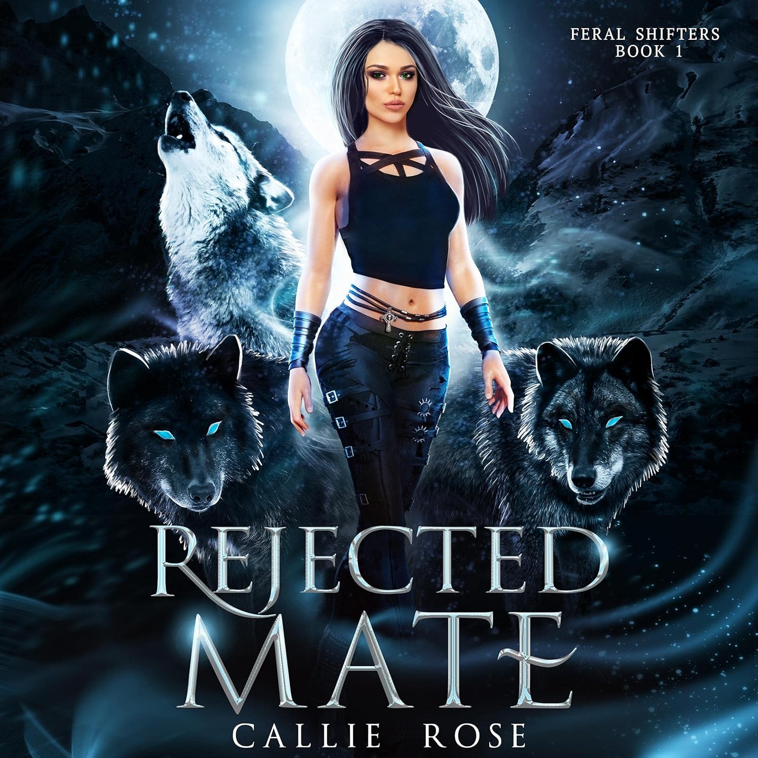 Rejected Mate: A Reverse Harem Shifter Romance (Feral Shifters, Book 1 ...