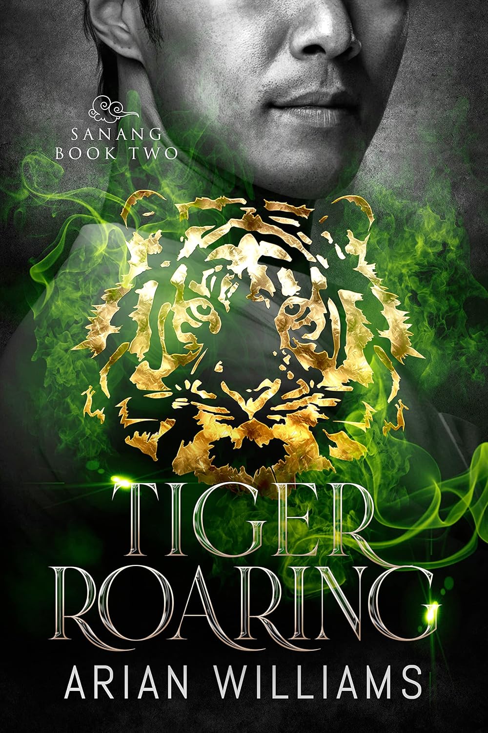 Tiger Roaring: MM Gay Paranormal Romance (Sanang Book 2) eBook ...