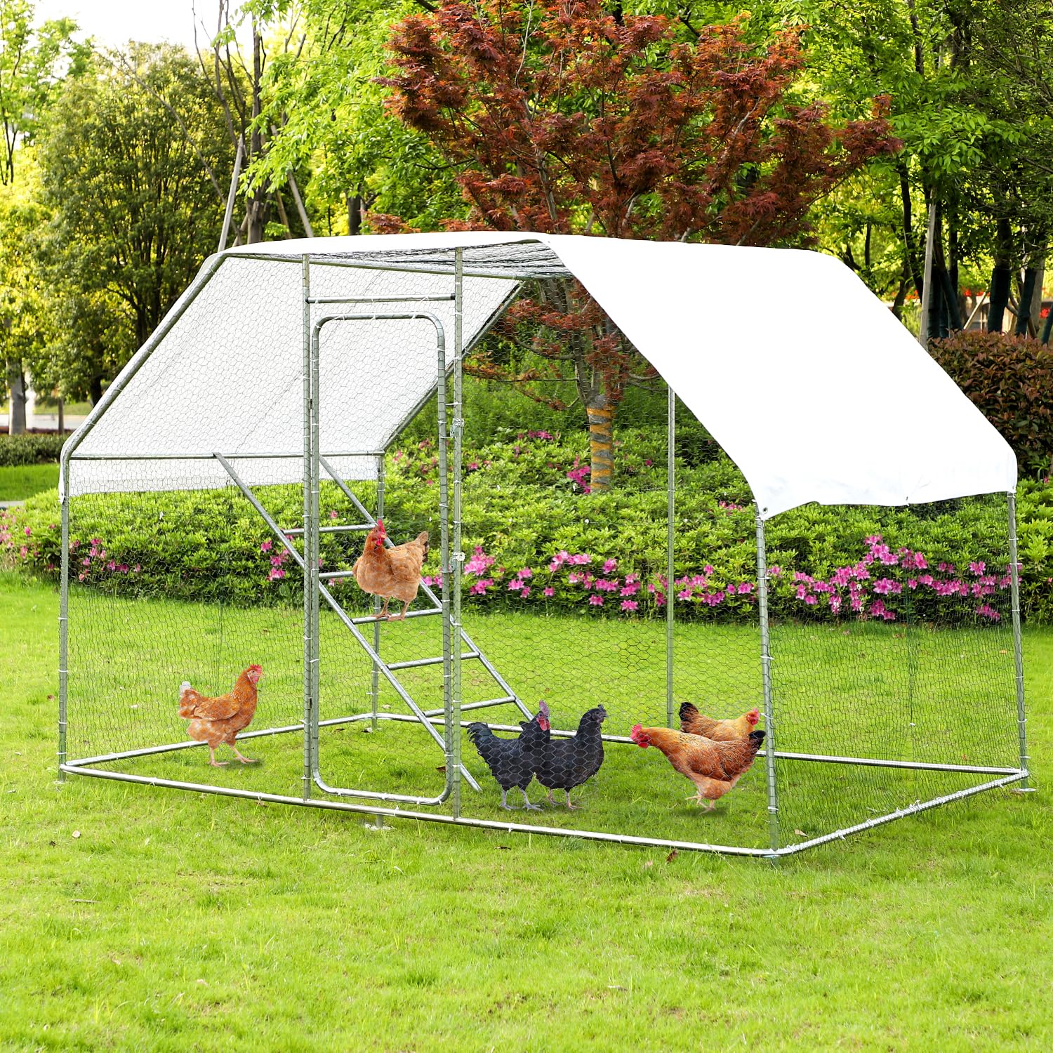 Pre Made Chicken Coops Walmart Prevue Pet Products Red Barn Chicken