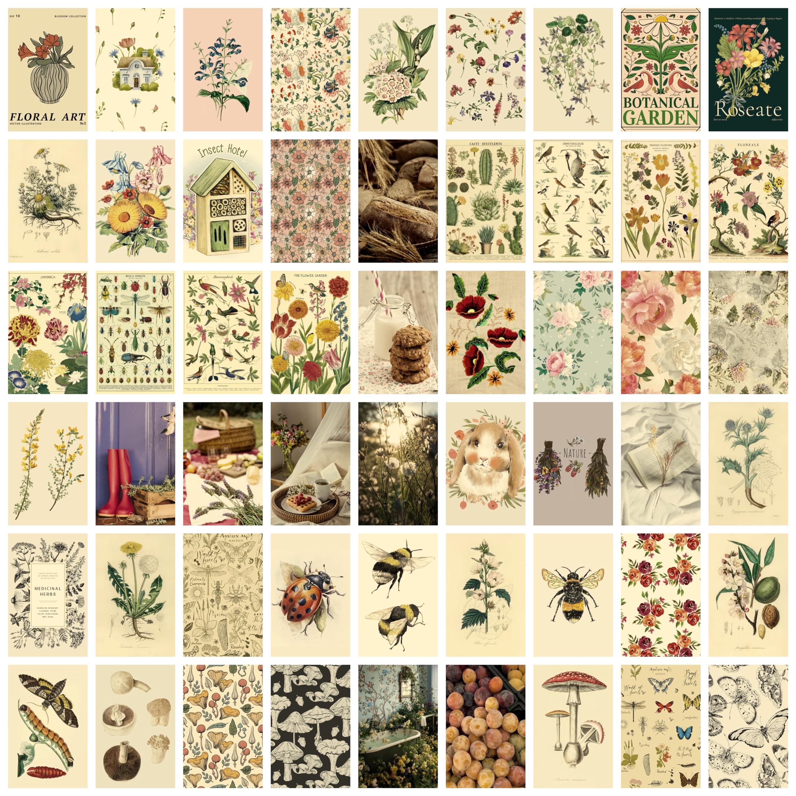 Buy Craft Qila Cottagecore Vol 1 Pack of 54 Aesthetic Wall Collage Kit ...