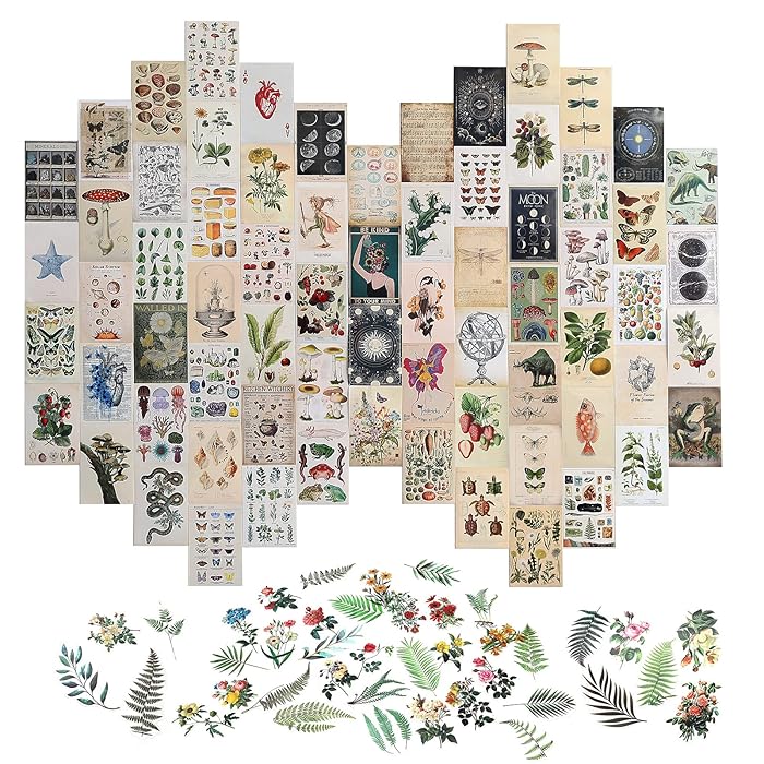 Buy MBR FORCE Cottagecore Wall Collage Kit Aesthetic Pictures 70 Pcs ...