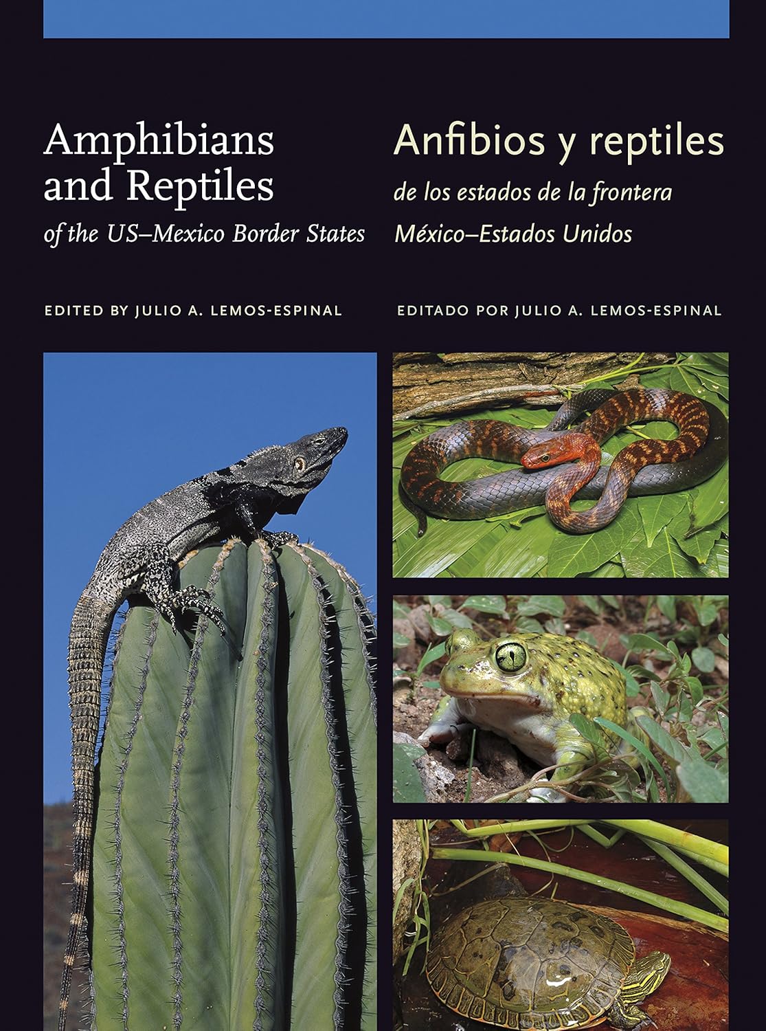 Amphibians and Reptiles of the US–Mexico Border States/Anfibios y ...