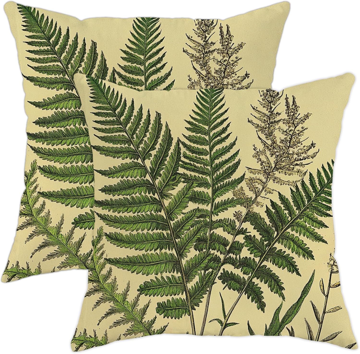 Amazon.com: Vintage Fern Pillow Covers Set of 2, Sage Green Botanical ...