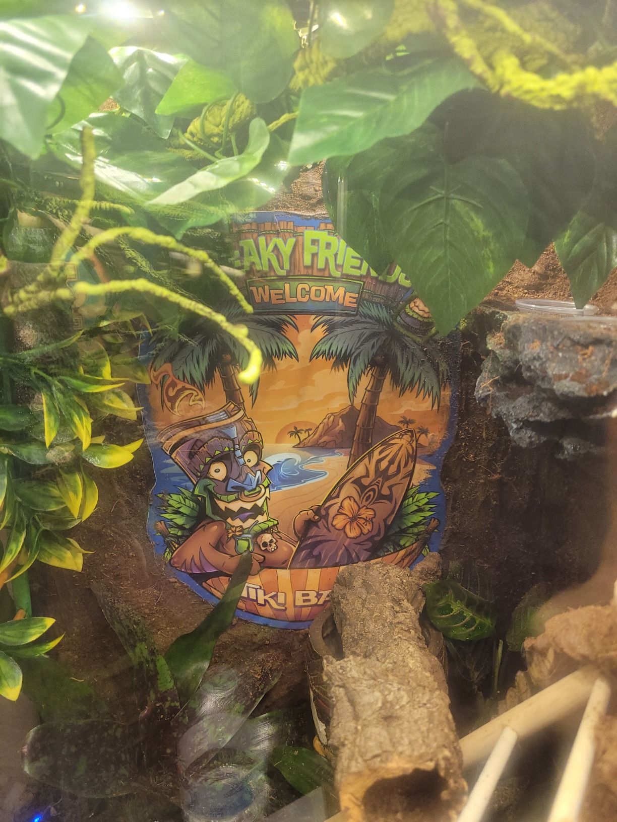 Amazon.com: Freaky Friends Tiki Bar Novelty Sign | Indoor/Outdoor ...