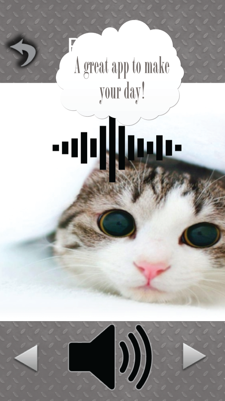 Cute Cat Games - App on Amazon Appstore