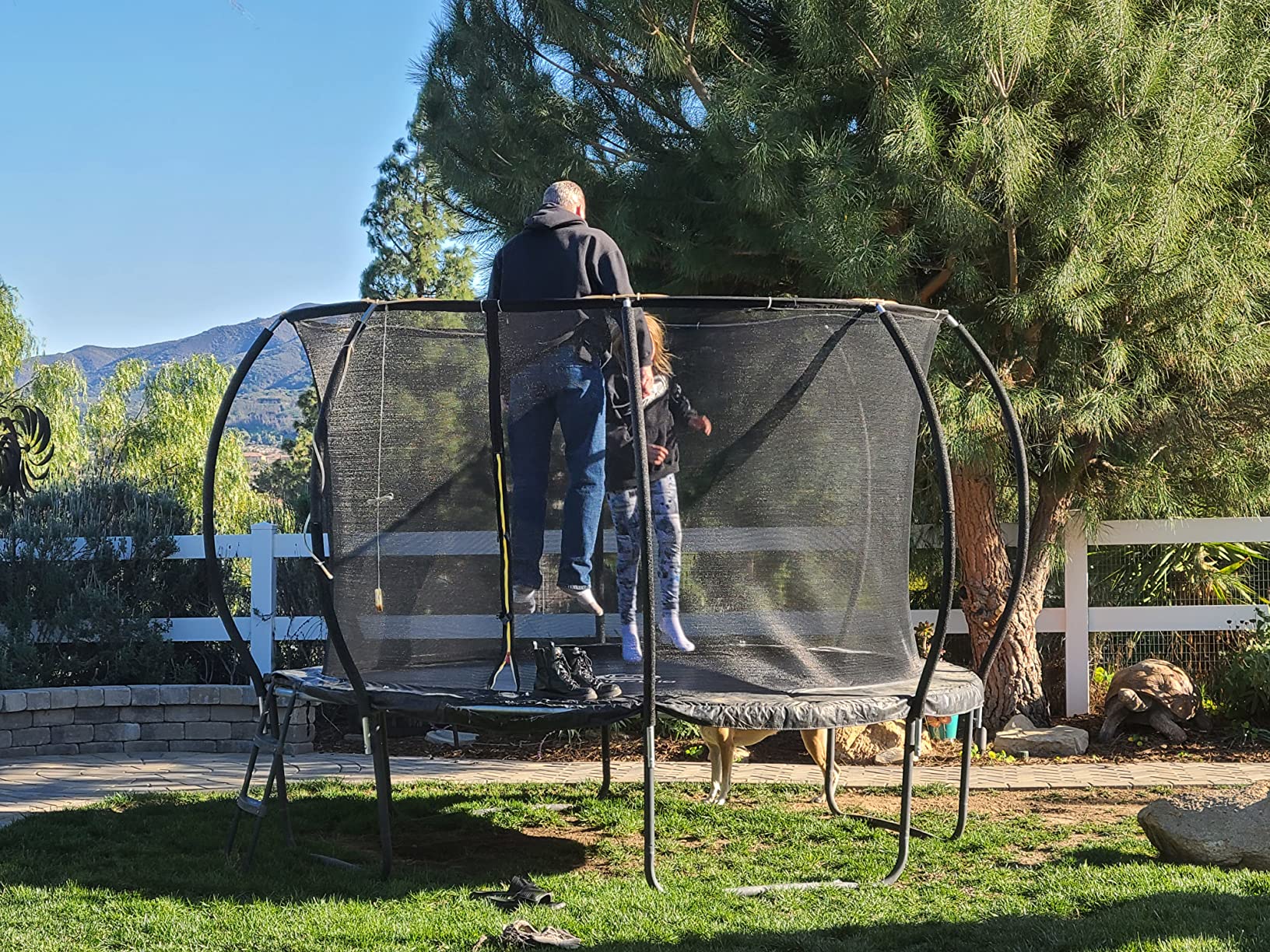 $32/mo - Finance JUMPZYLLA Trampoline 8FT 10FT 12FT 14FT Trampoline ...