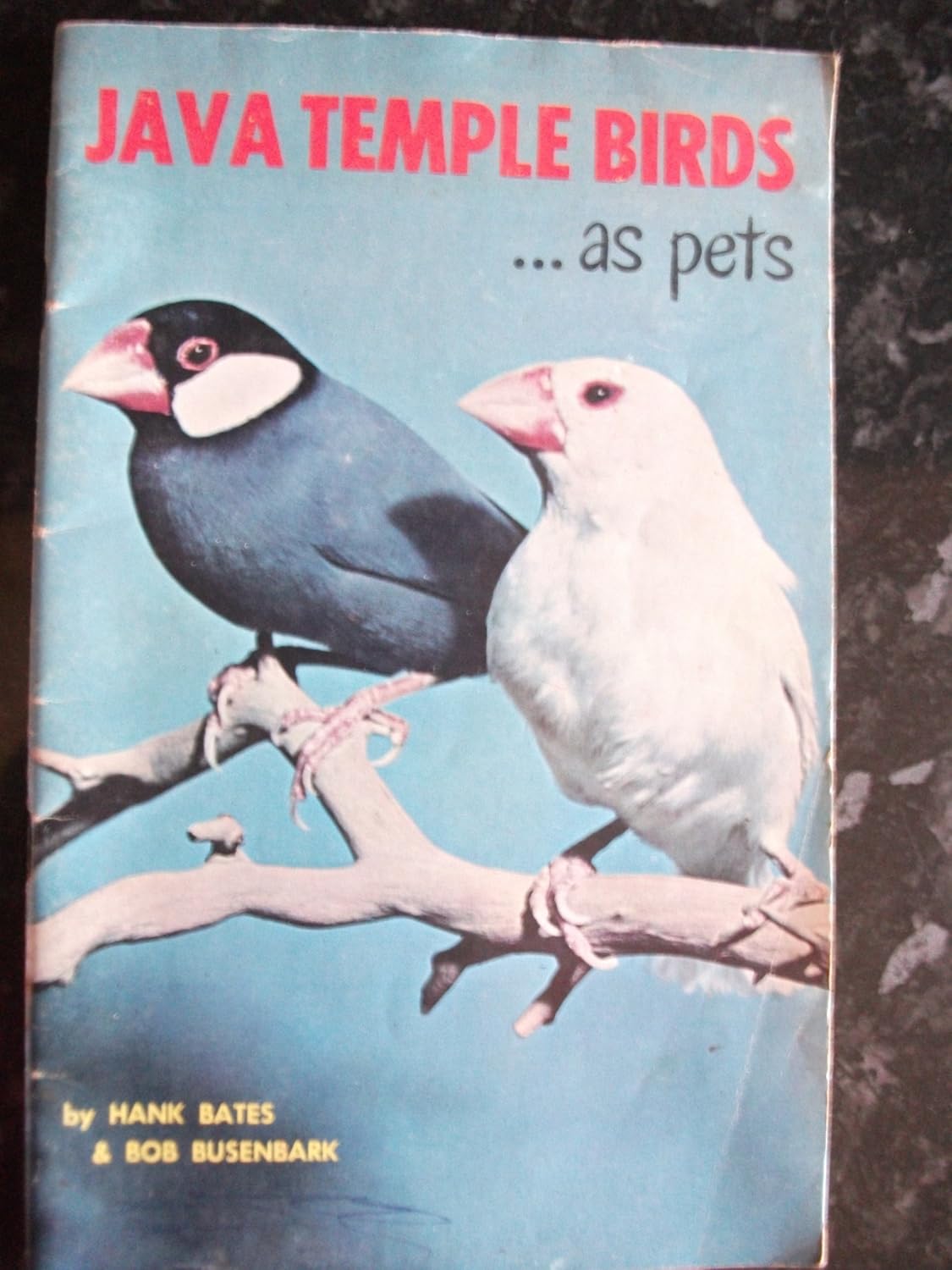Java Temple Birds ... as pets: Bates, Henry: Amazon.com: Books