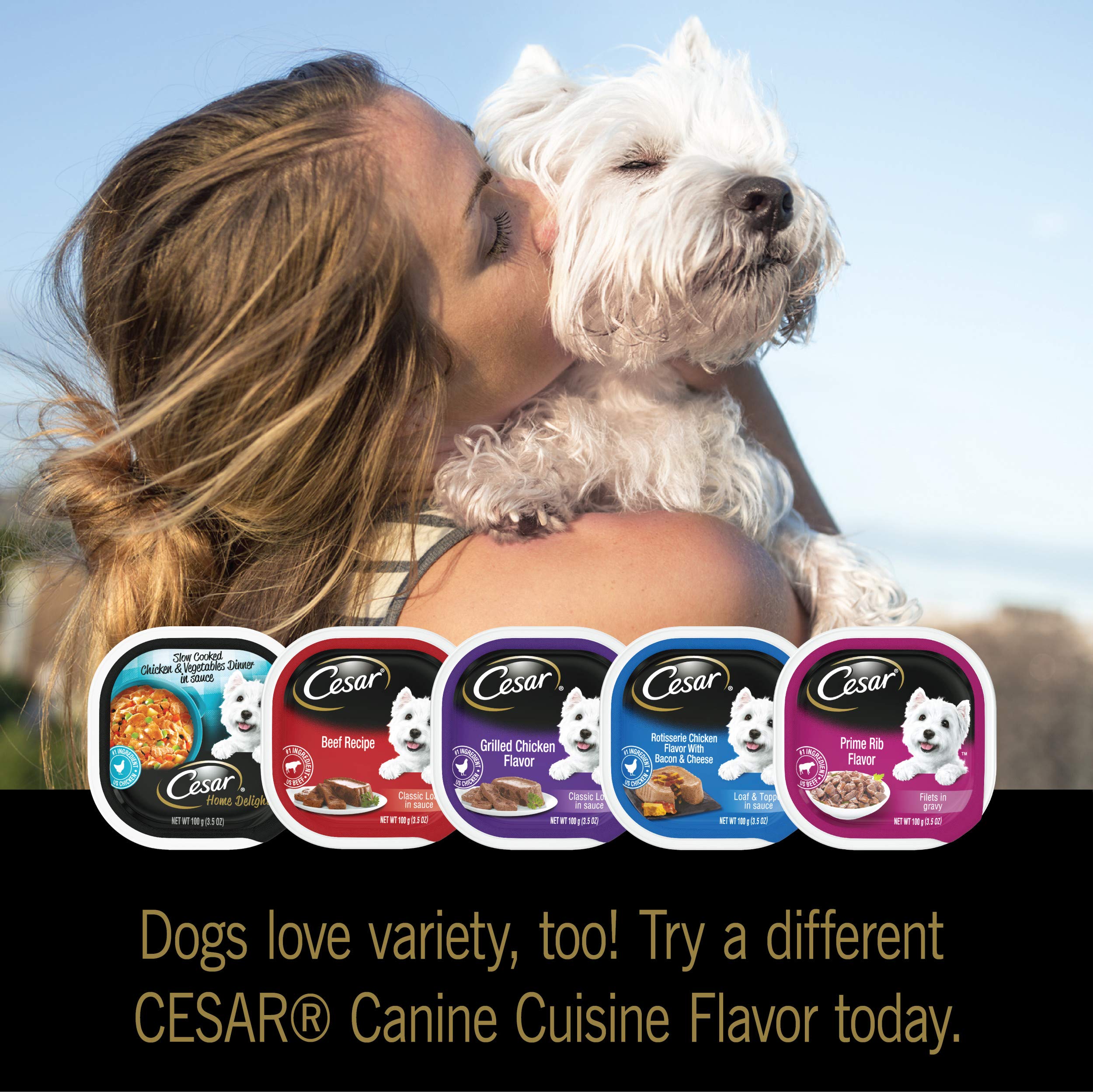 Buy CESAR Soft Wet Dog Food Classic Loaf in Sauce Filet Mignon and ...