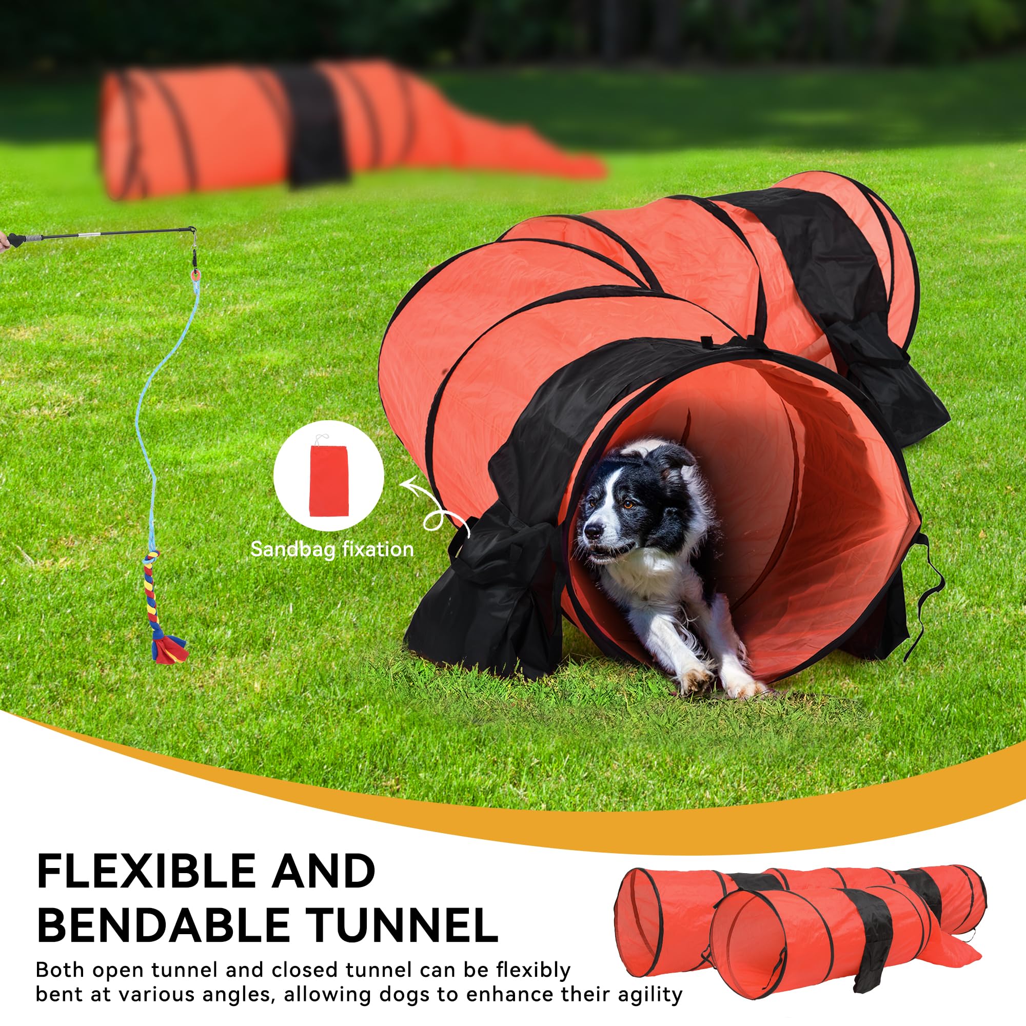Snapklik.com : Dog Agility Equipments: Includes Flirt Pole, 3 Flying ...