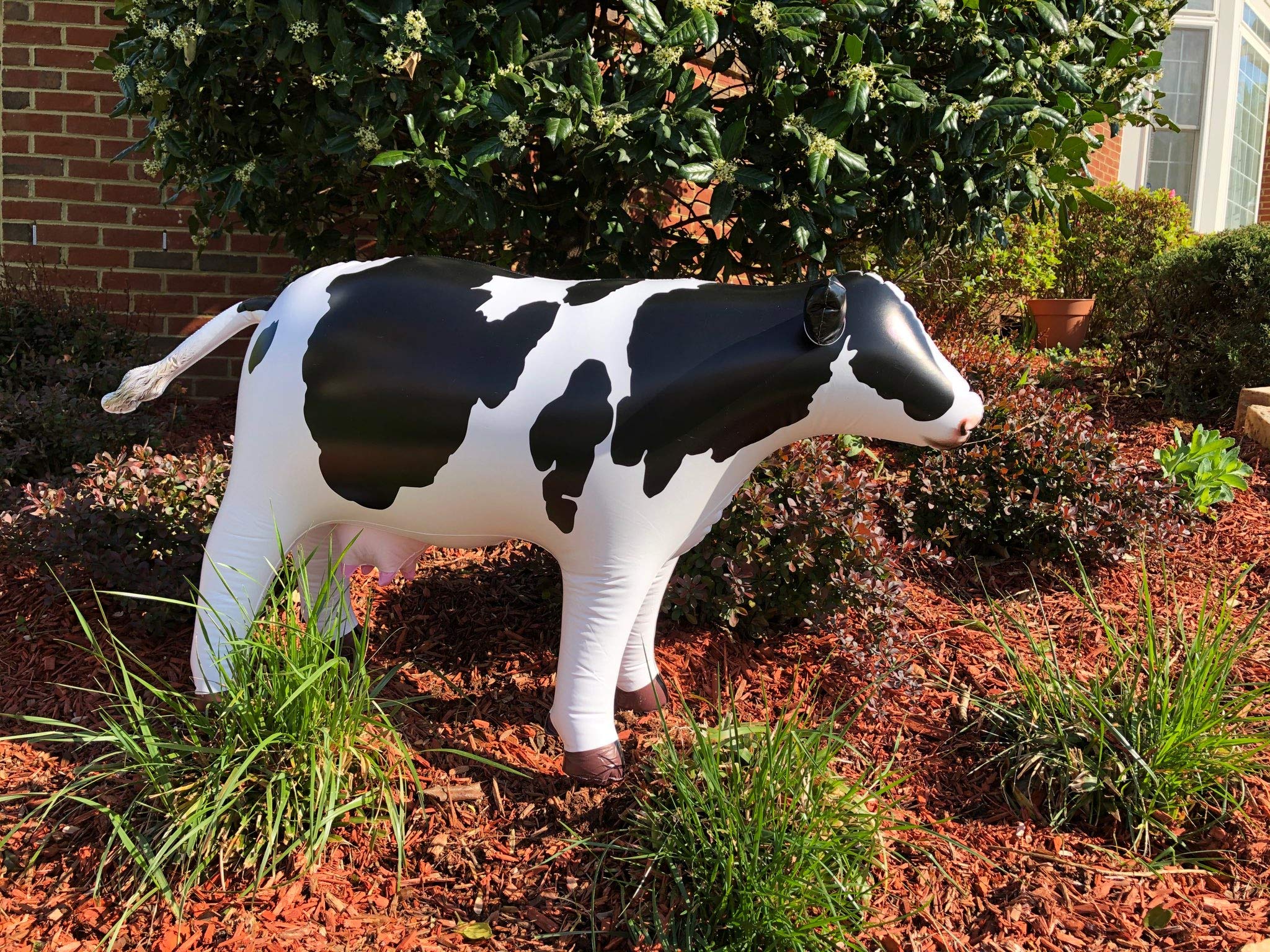Snapklik.com : Jet Creations Cow Inflatable Animal Baby 37 Inch Long ...