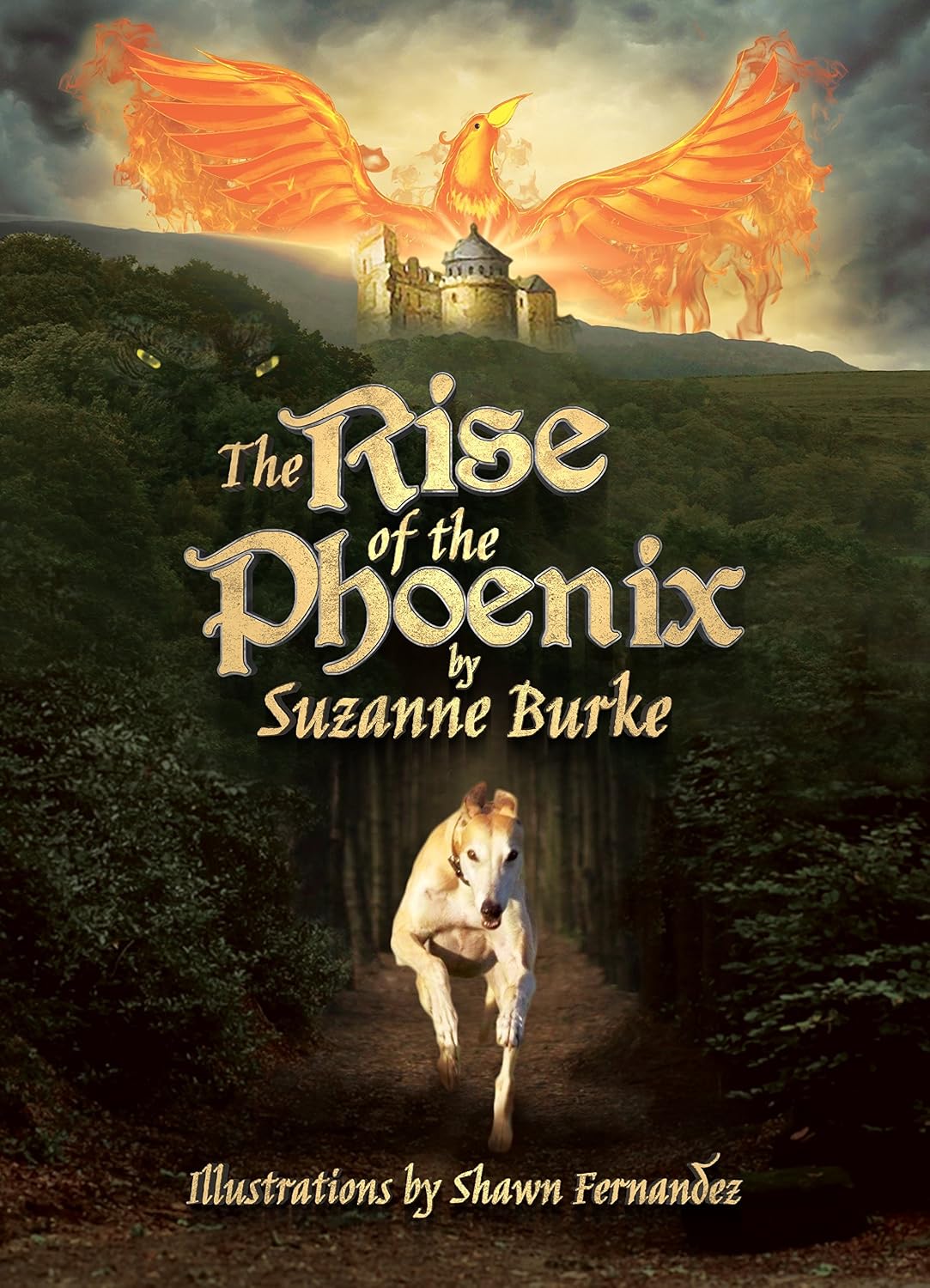 Amazon.com: The Rise of the Phoenix: Adventures in Medieval Europe ...
