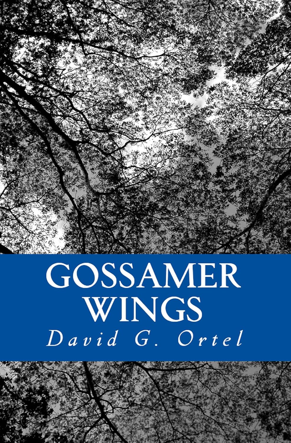 Amazon.com: Gossamer Wings eBook : Ortel, David: Kindle Store