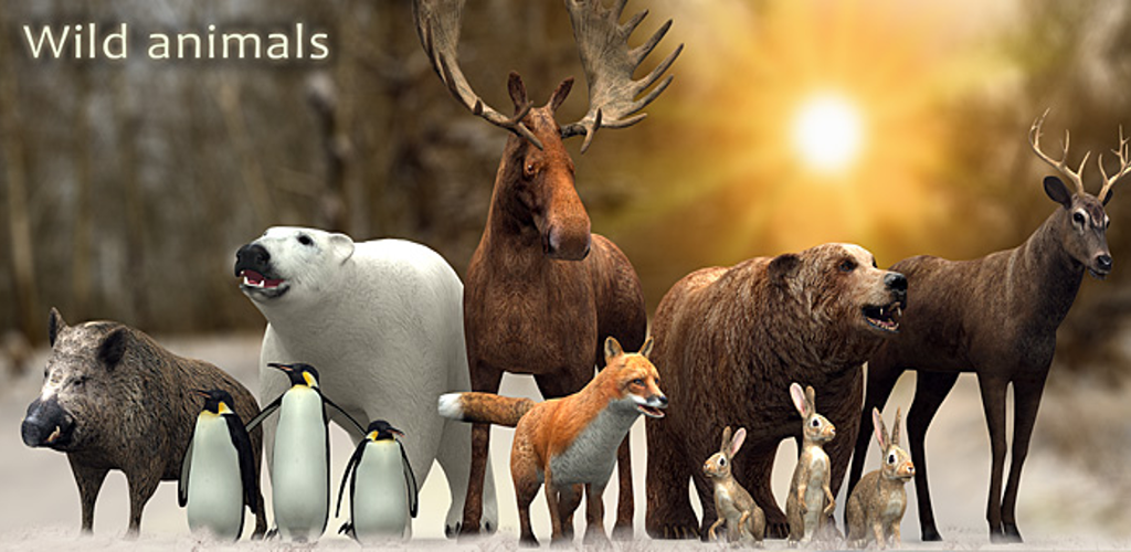 AR Wild Animals(Augmented Reality + Cardboard):Amazon.co.uk:Appstore ...