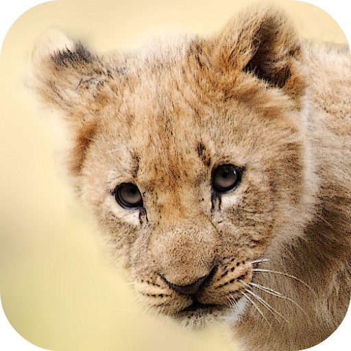 Baby Animal Wallpapers - App on the Amazon Appstore