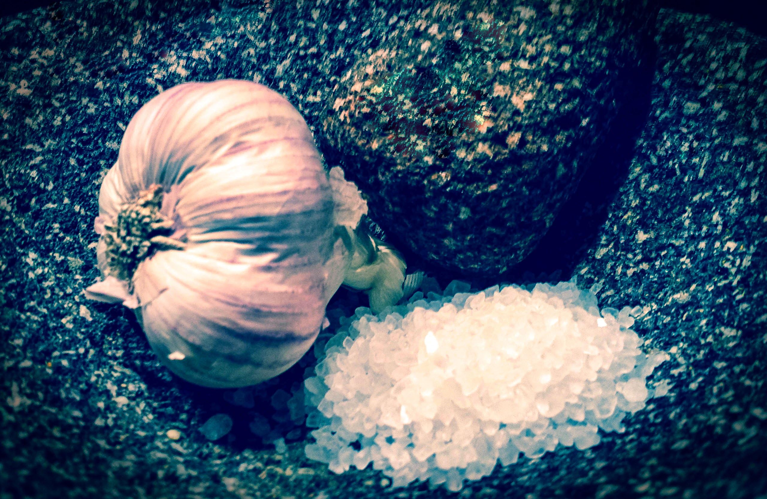 Amazon.com : Tabasco Salt from the Seasoned Sea Salts Collection by ...