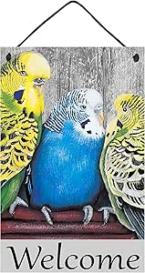 Amazon.com: Welcome Sign Bird Parrot Parrakeet 6 X 8 Inch Art Hanging ...