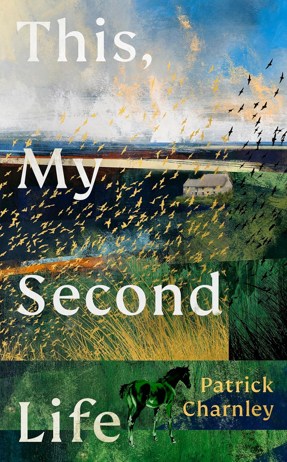 This, My Second Life: The profound and uplifting new literary novel, a ...