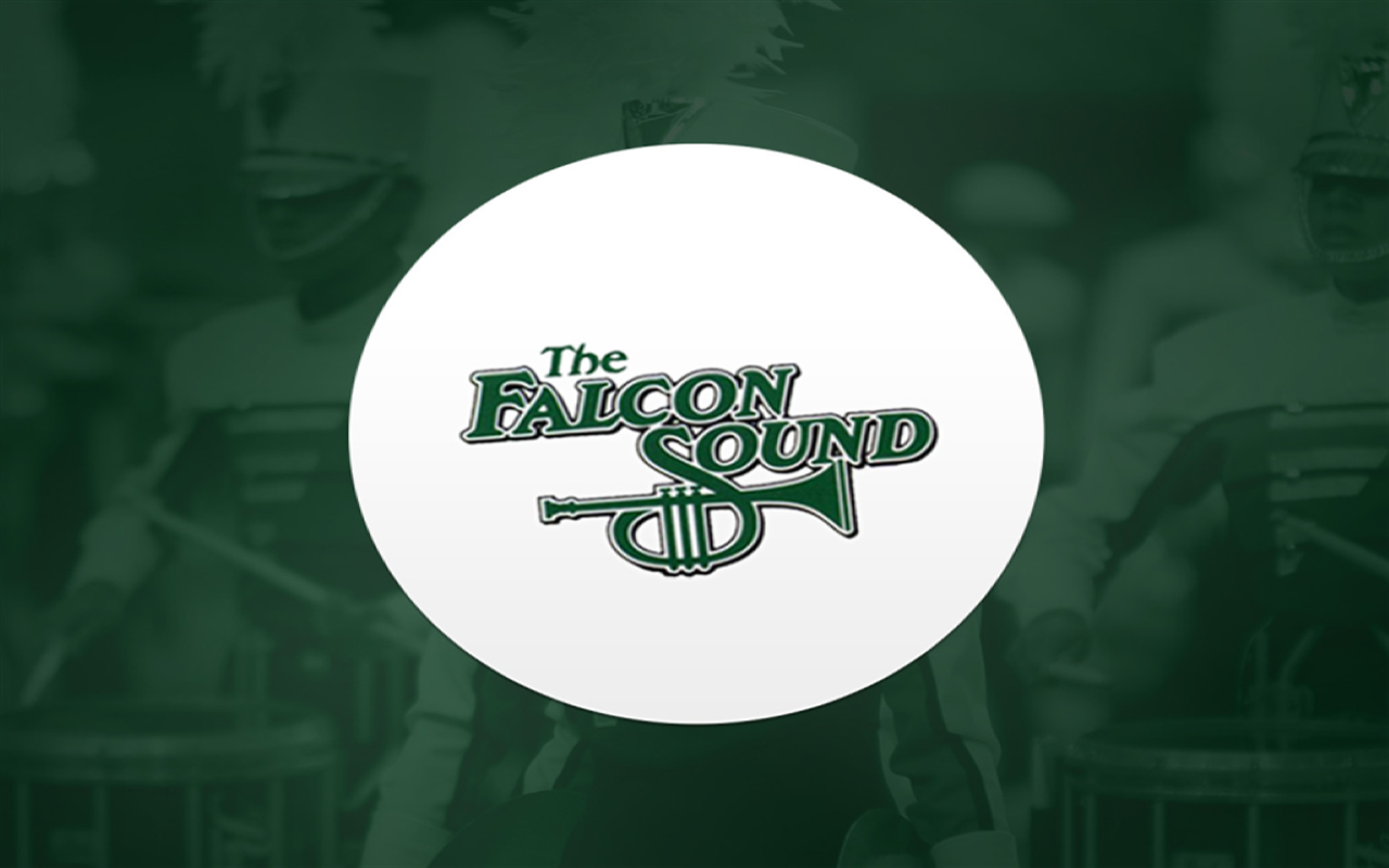 Falcon Sound:Amazon.es:Appstore for Android