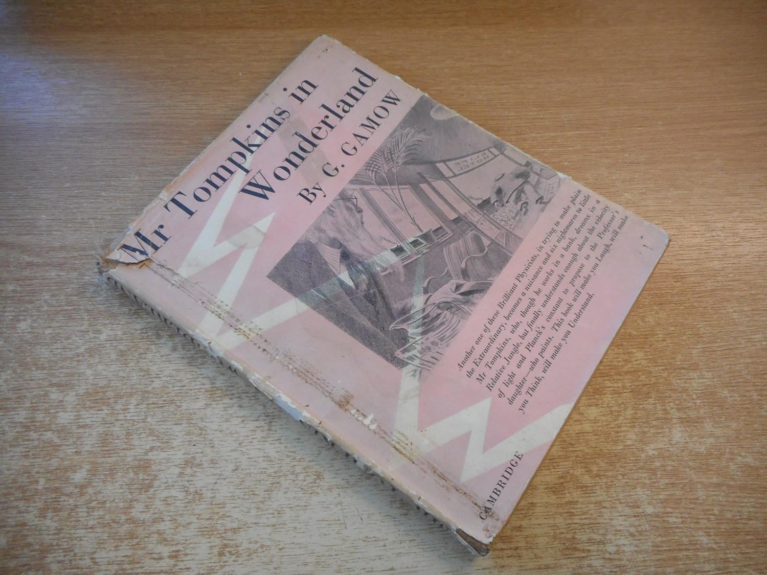 Mr Tompkins in Wonderland: Gamow, G., Hookham, John: Books - Amazon.ca