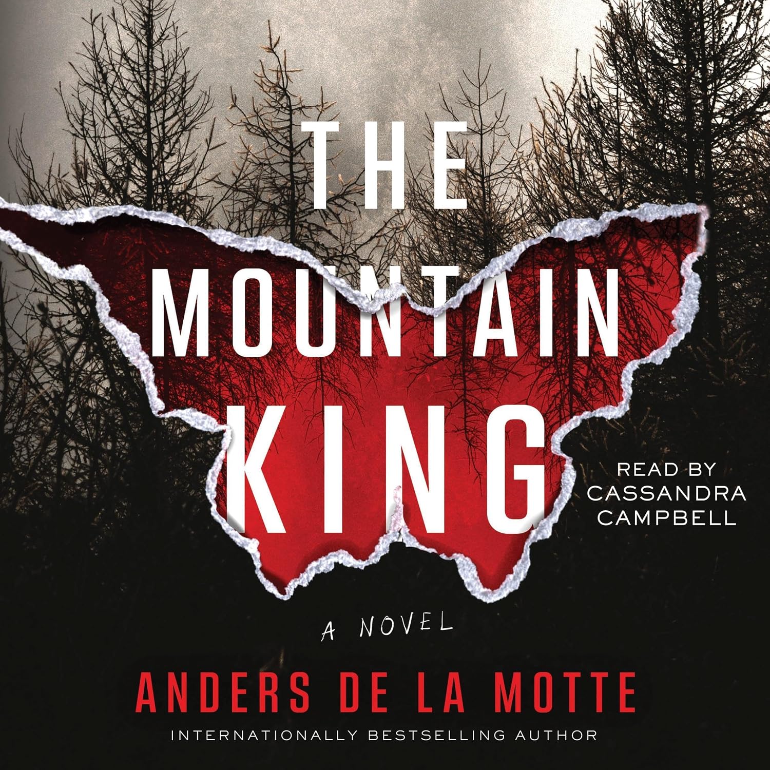 Amazon.com: The Mountain King: A Novel (Audible Audio Edition): Anders ...