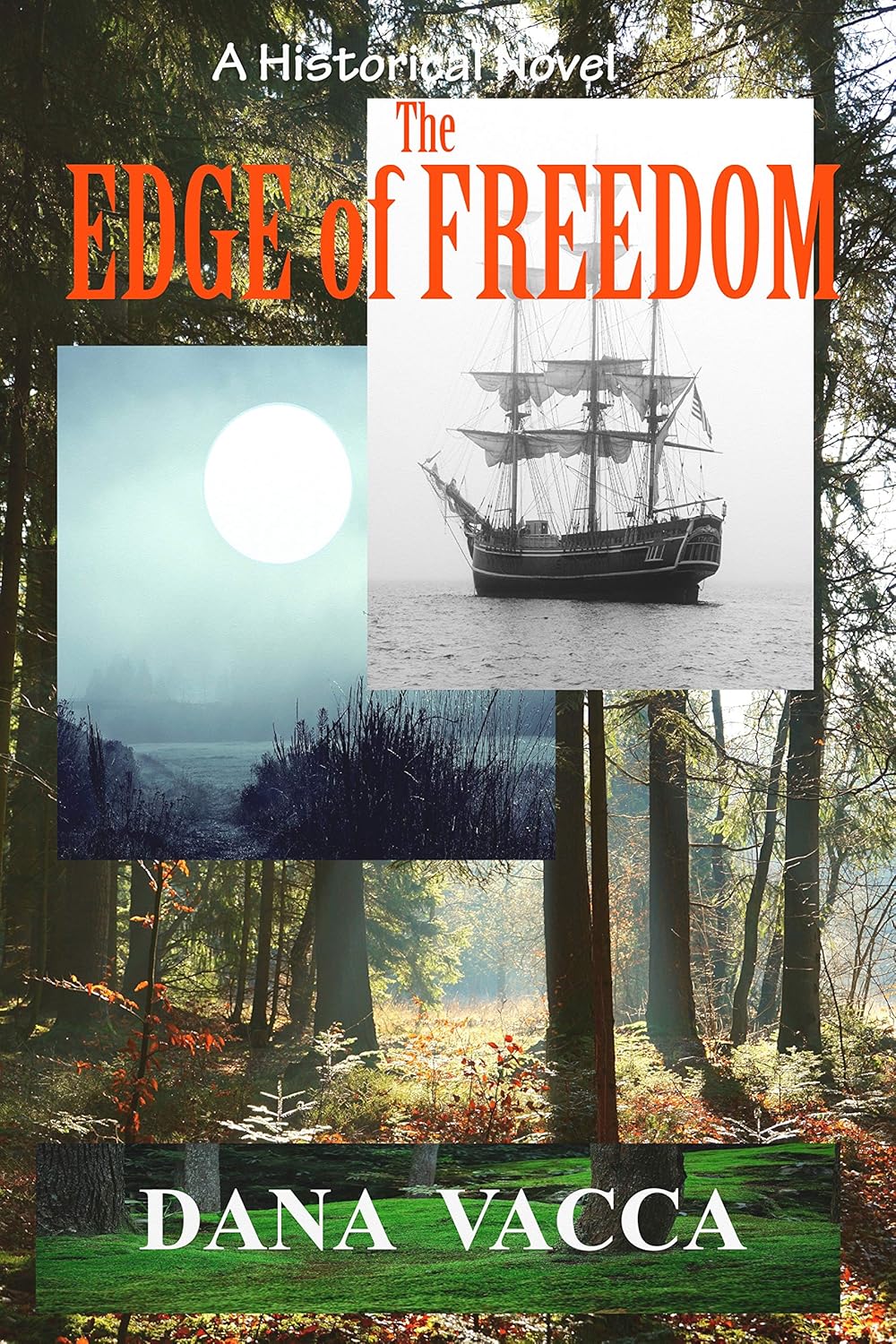 The Edge of Freedom: A Civil War slave with a will to be free (Freedom ...