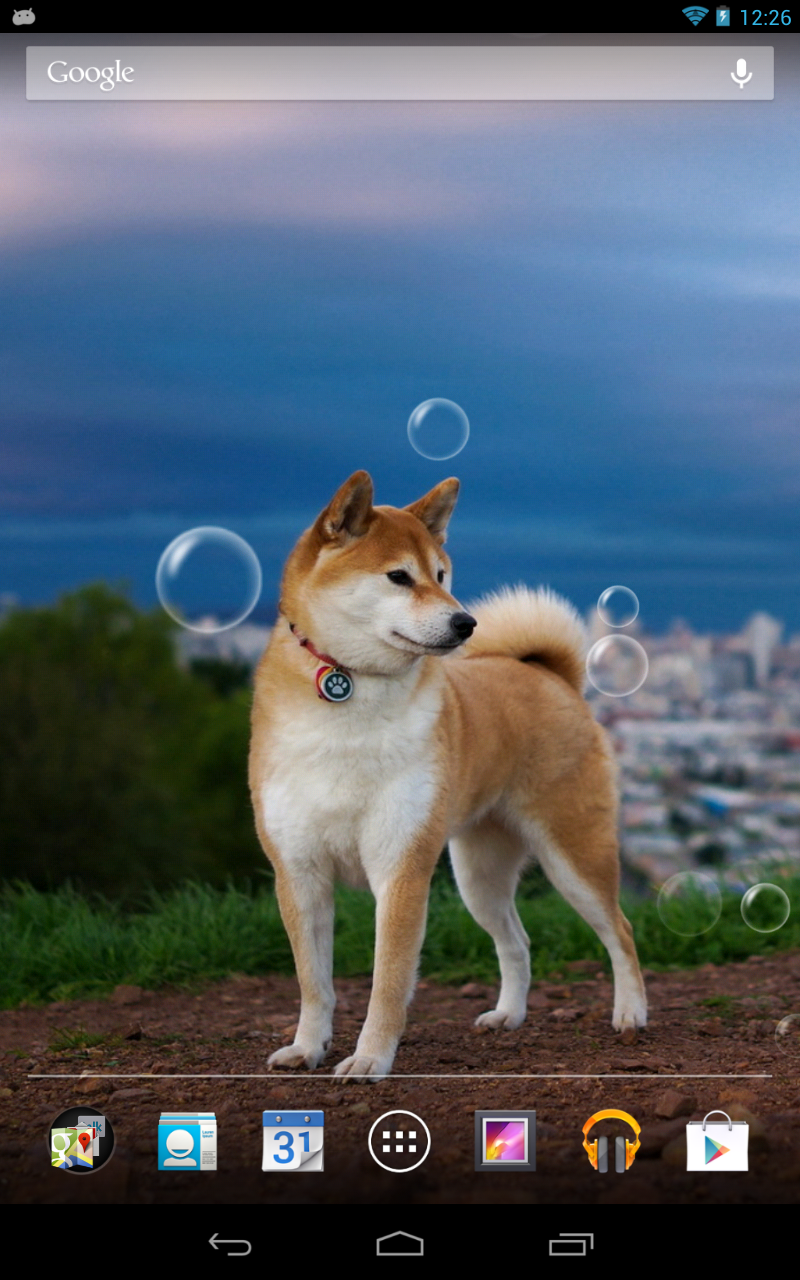 Q Dog Live Wallpaper - App on Amazon Appstore
