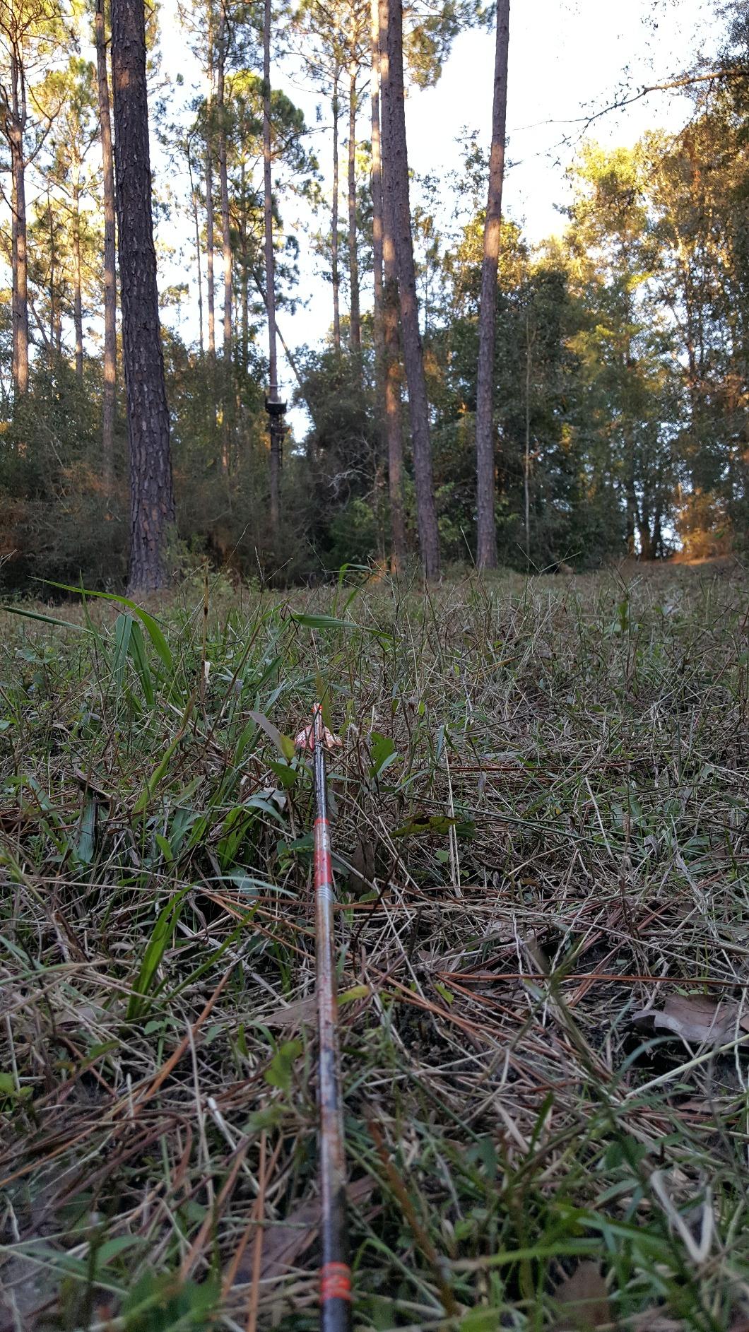 Amazon.com : HHA Optimizer Lite Ultra 5019 Sight Right Handed : Archery ...