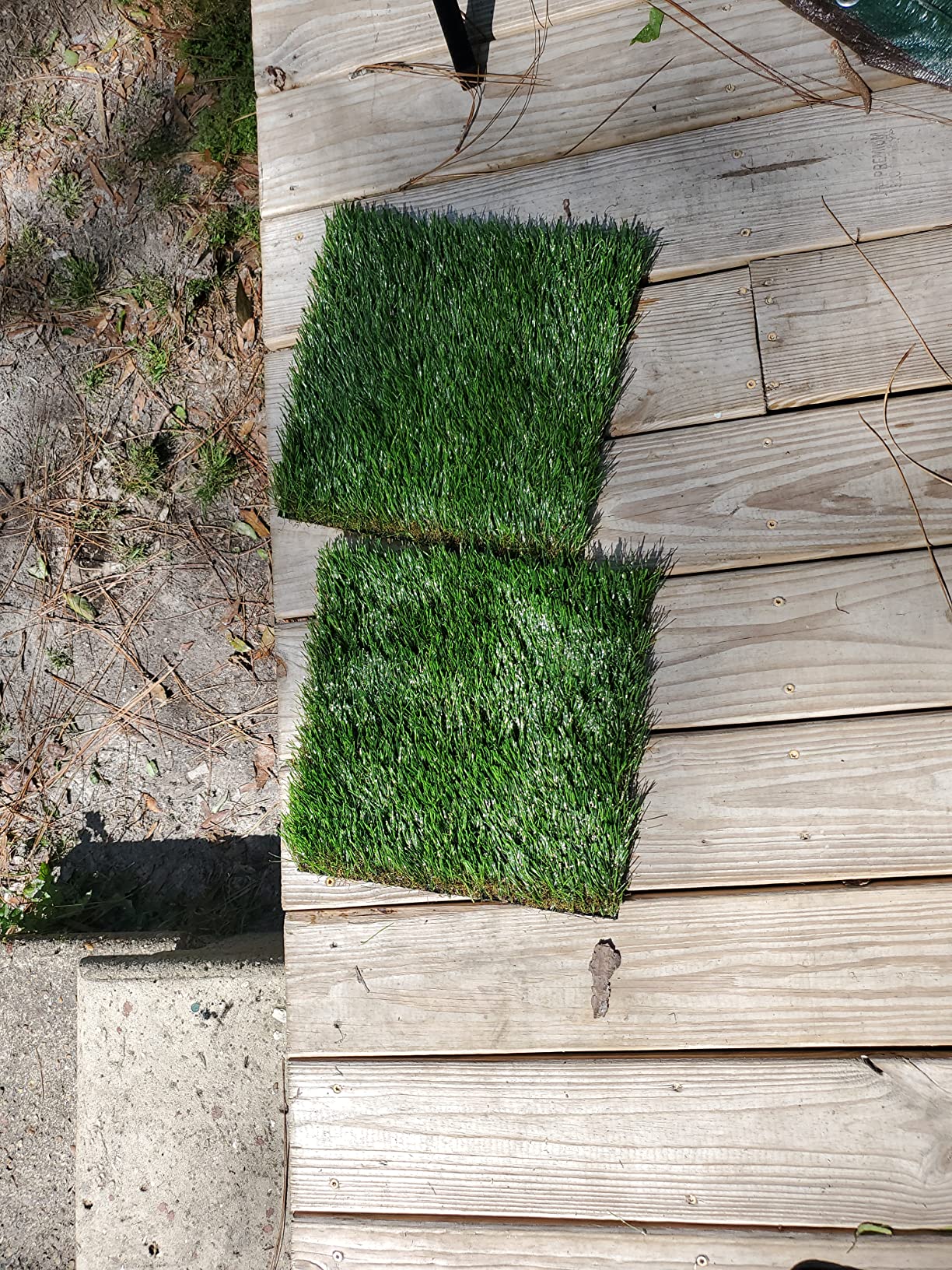 $4/mo - Finance Nesting Box Pads Artificial Turf Square 4pk - Synthetic ...