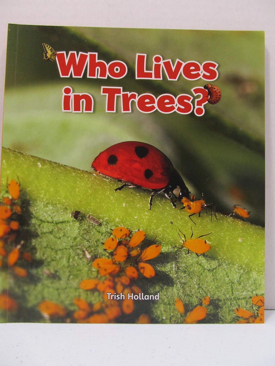 Who Lives in Trees?: Trish Holland: 9781606171318: Amazon.com: Books