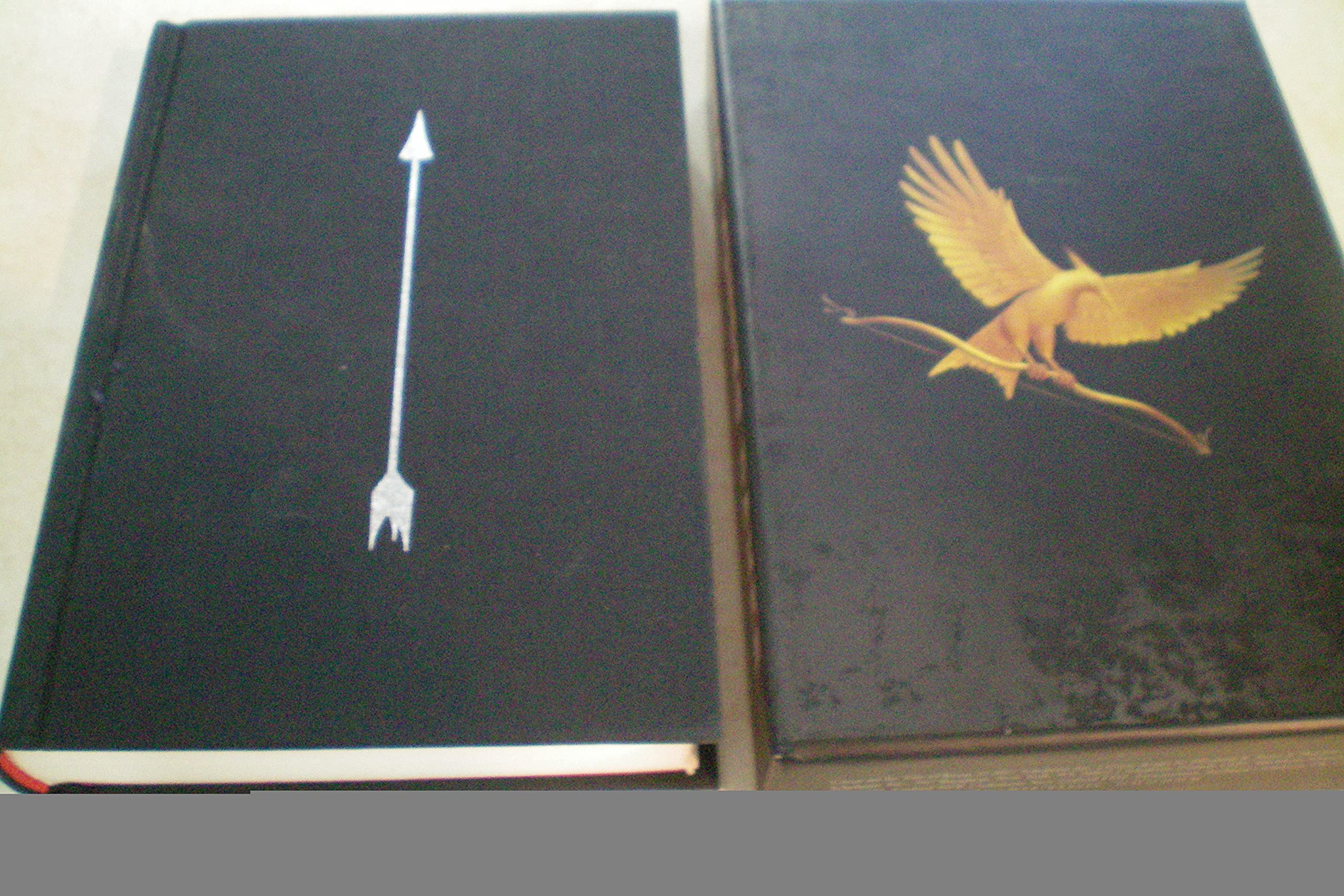 The Hunger Games[HUNGER GAMES][Hardcover]: Collins, Suzanne: Amazon.com ...